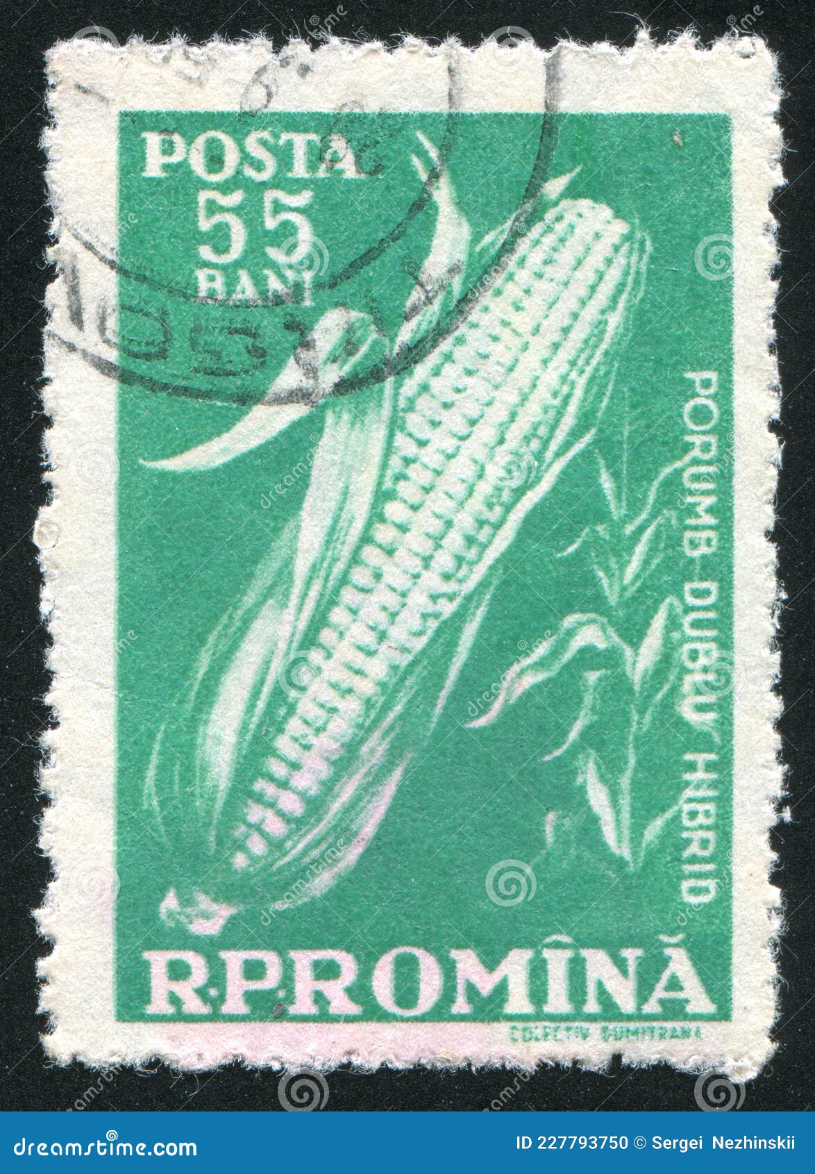 Corn editorial image. Image of grain, 1959, envelope - 227793750