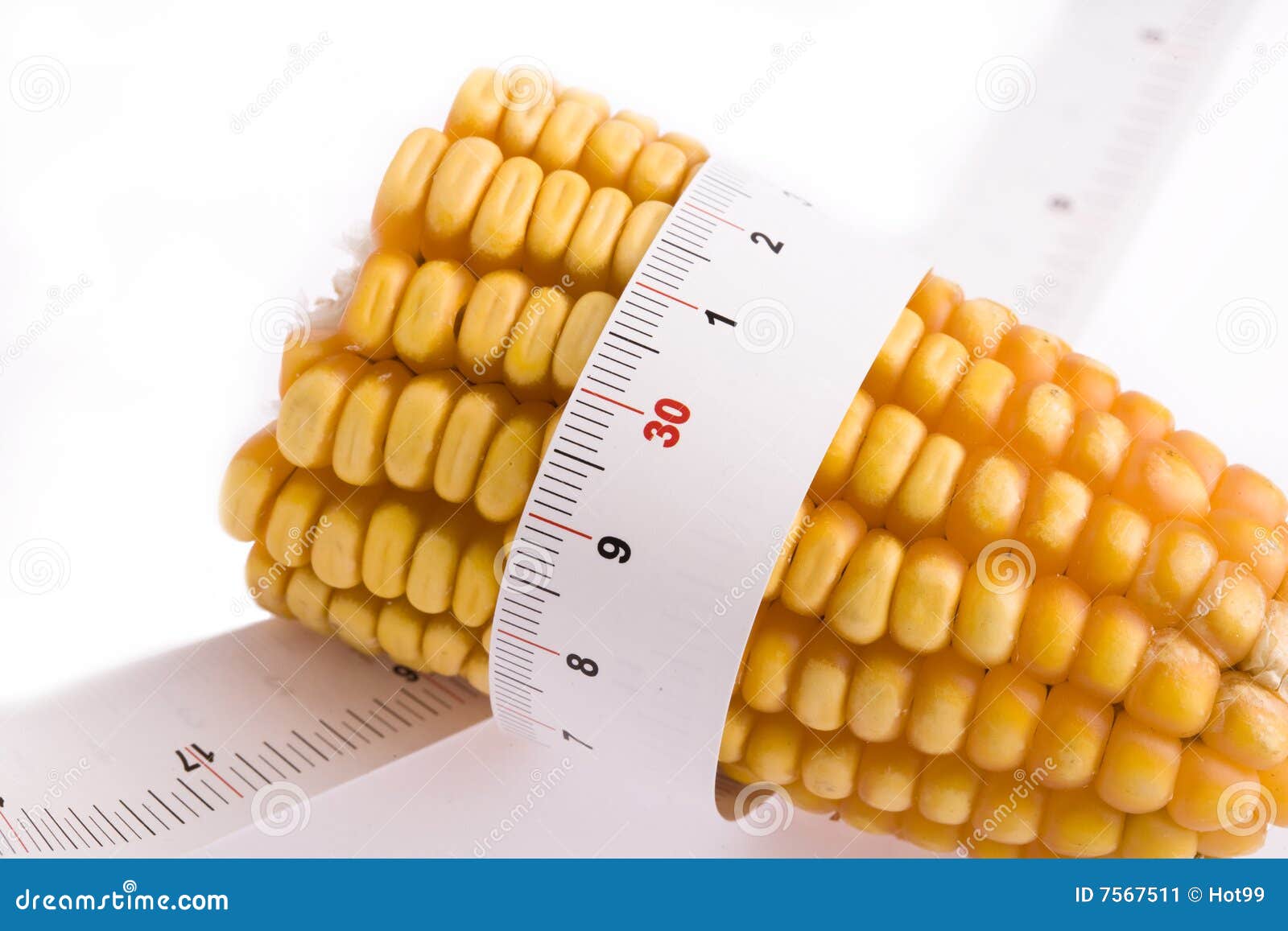 Corn and ruler stock image. Image of harvest, maize, ruler - 7567511
