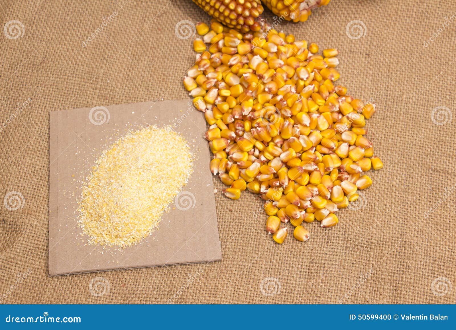 Corn stock photo. Image of dried, homemade, food, maize - 50599400