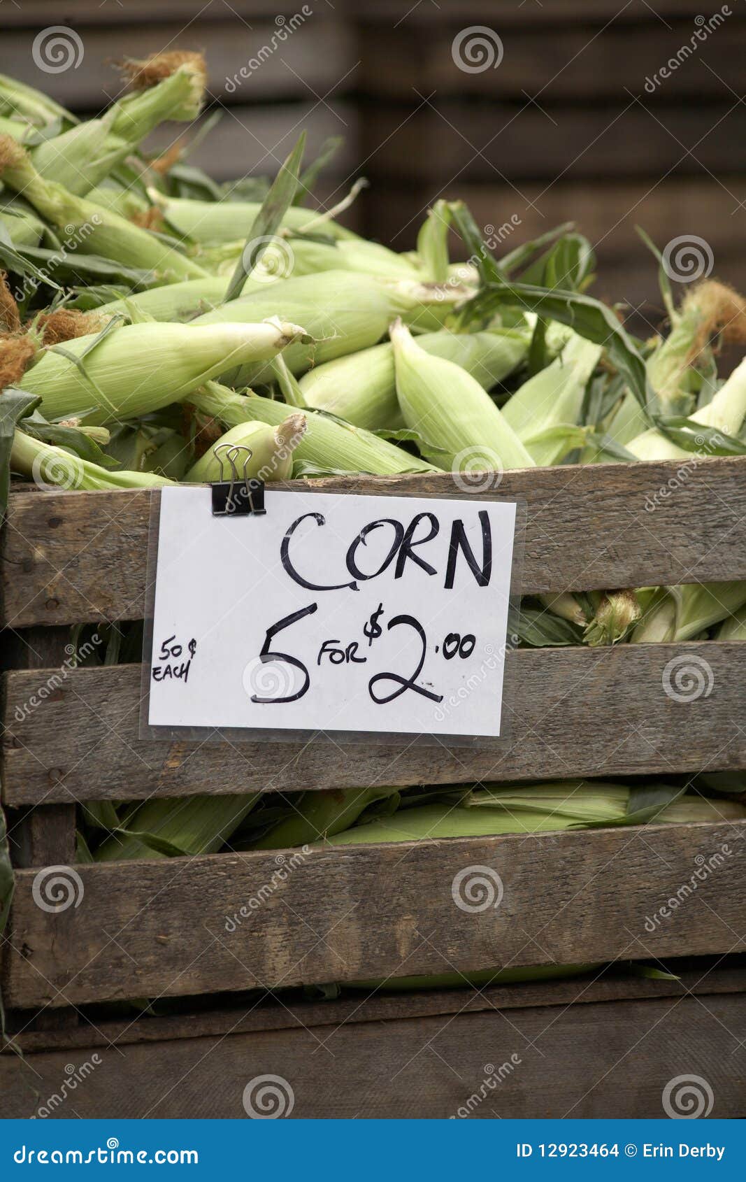 Corn for sale stock photo. Image of brooklyn, health - 12923464