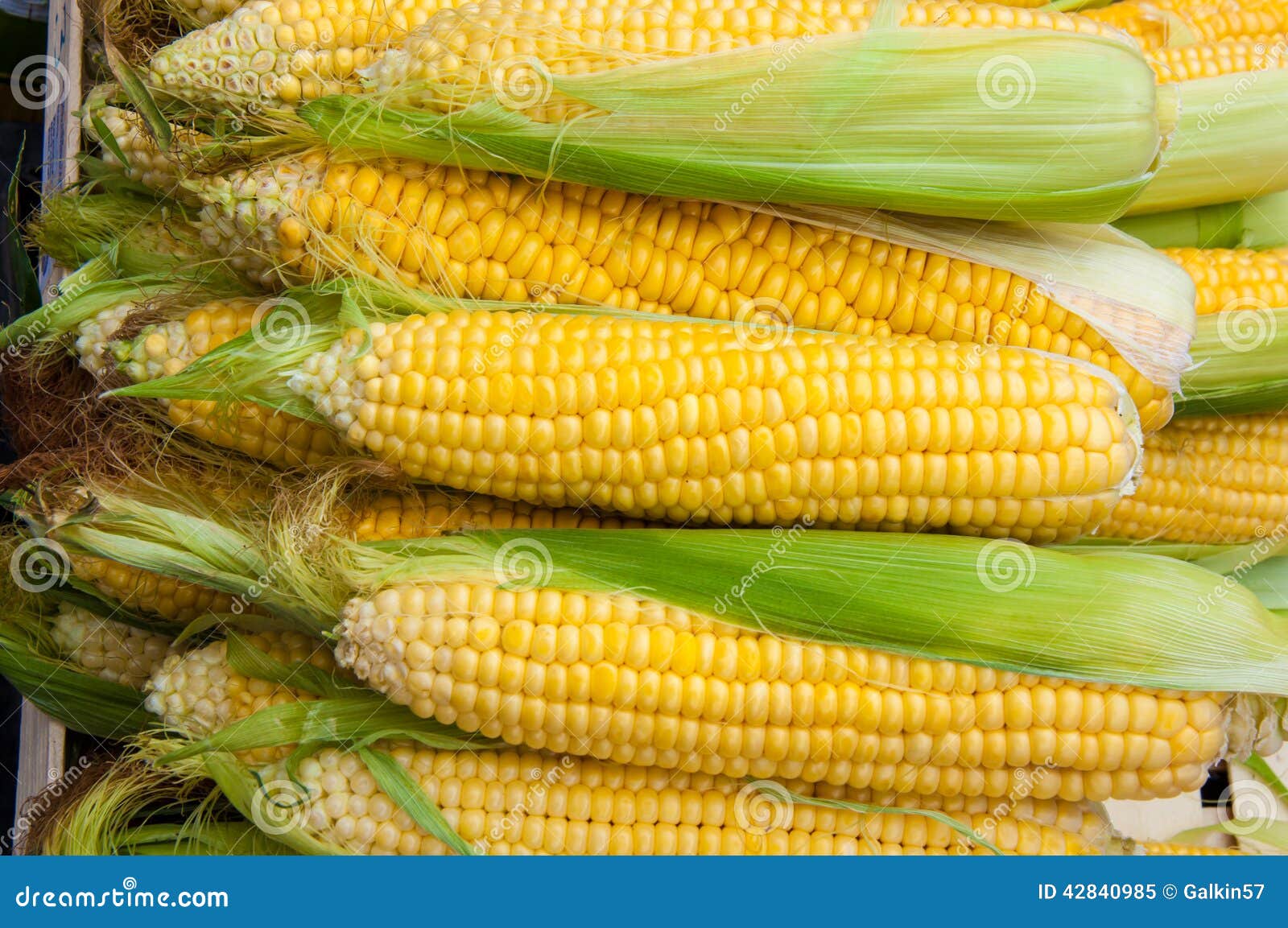 Corn is on Sale at the Bazaar Stock Image - Image of arabic, maize ...