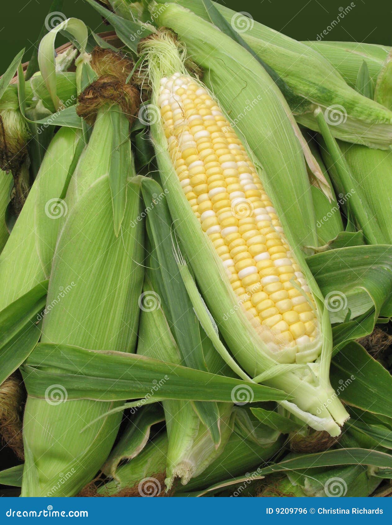 Corn for Sale at Farmers Market Stock Photo - Image of sale, ingredient ...