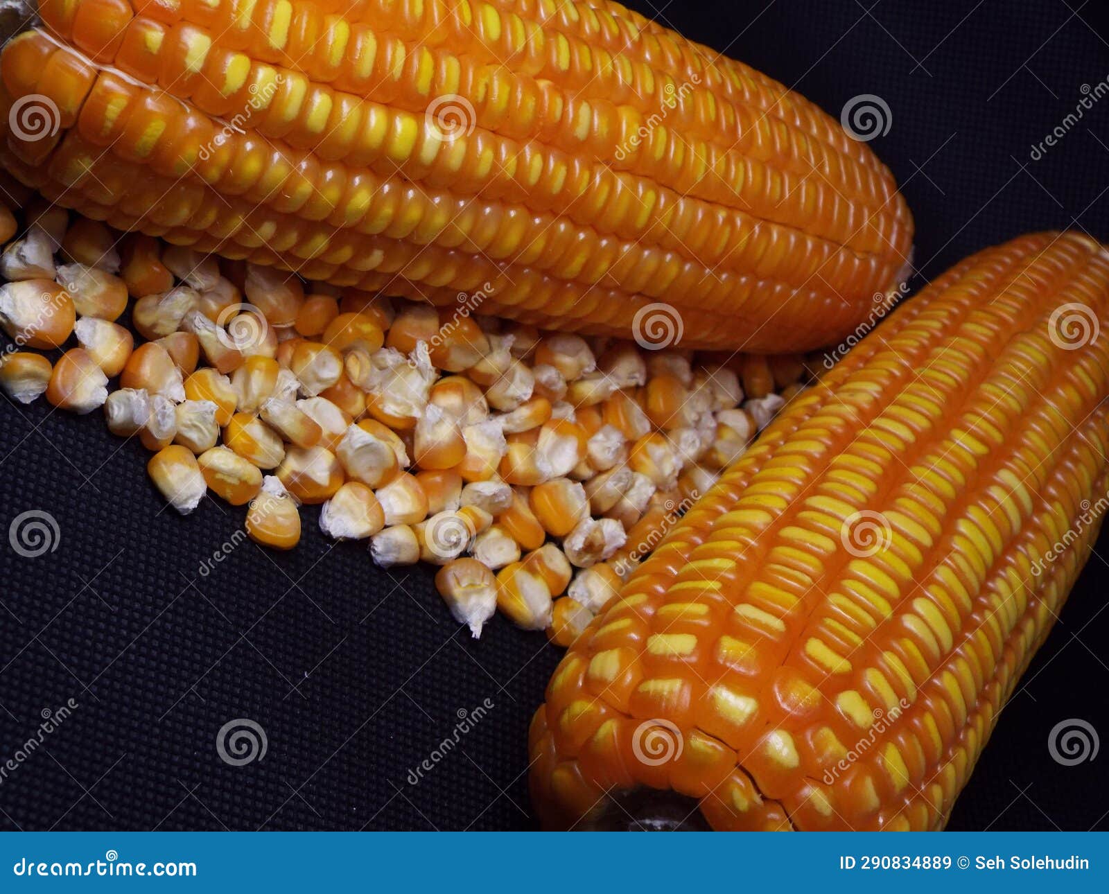 Two Pieces of Corn and Their Scattered Grains Stock Image - Image of ...