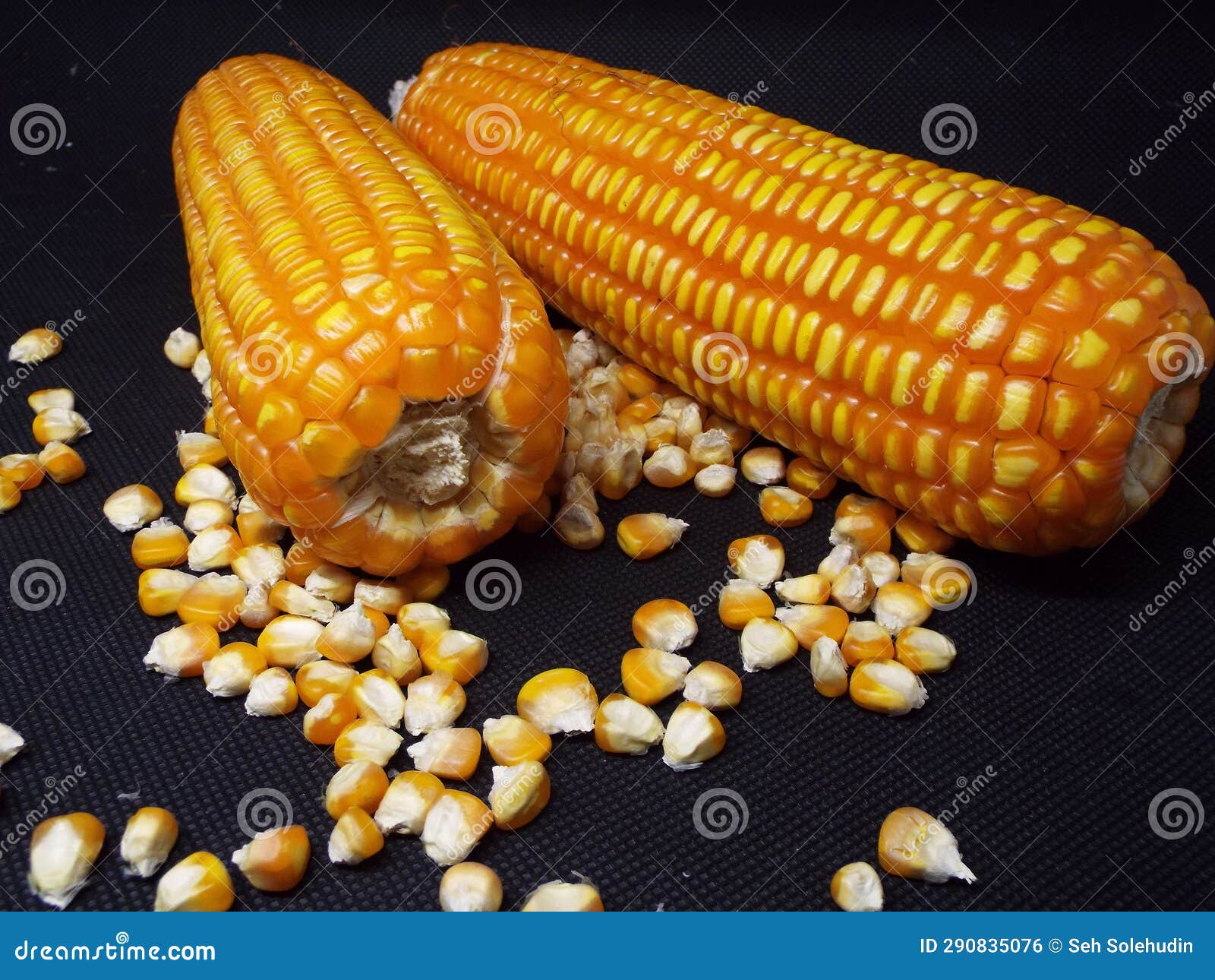 Two Pieces of Corn and Their Scattered Grains Stock Photo - Image of ...