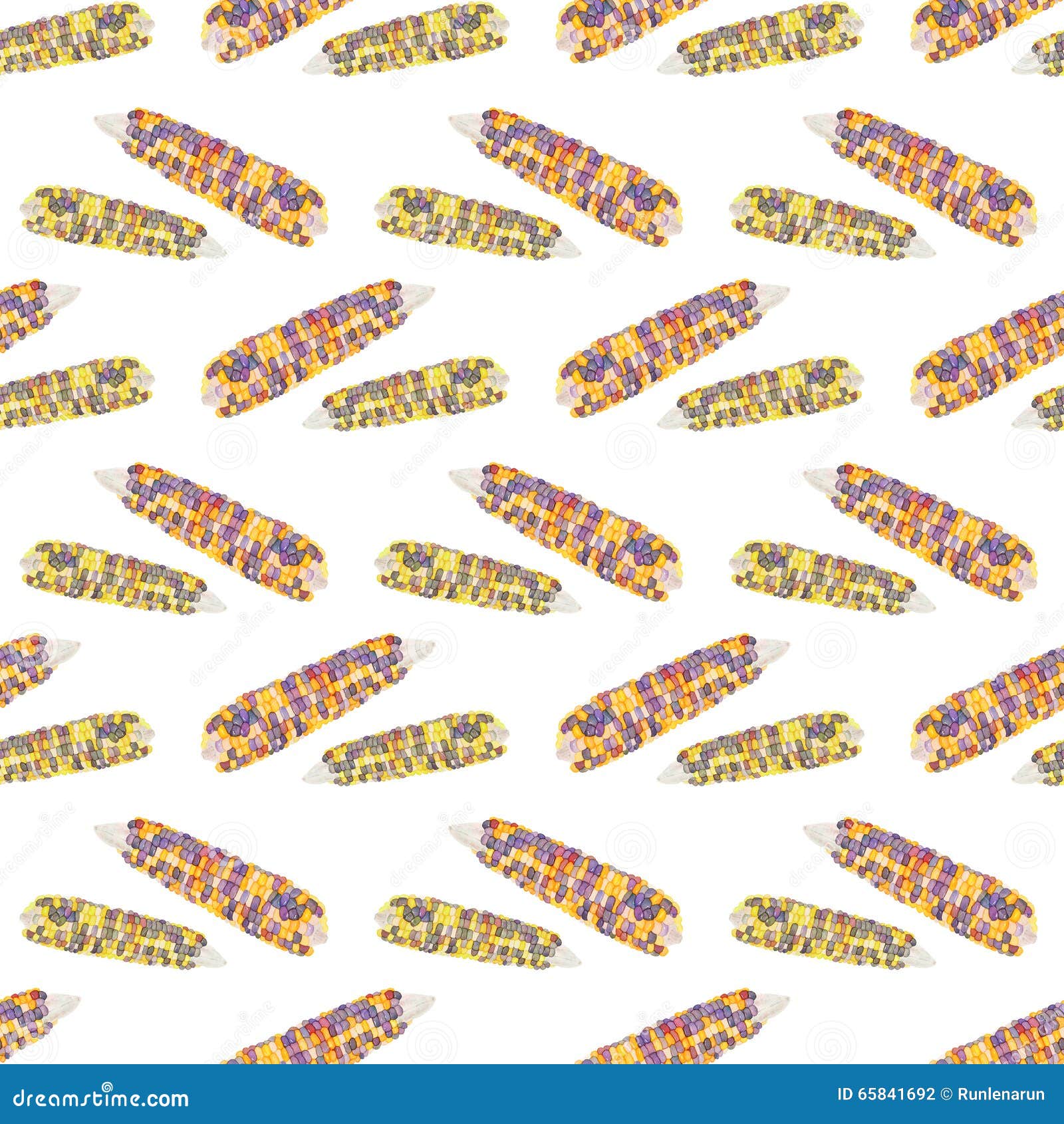 Corn. Seamless Pattern with Hand-drawn Vegetable - Indian Corn Stock ...