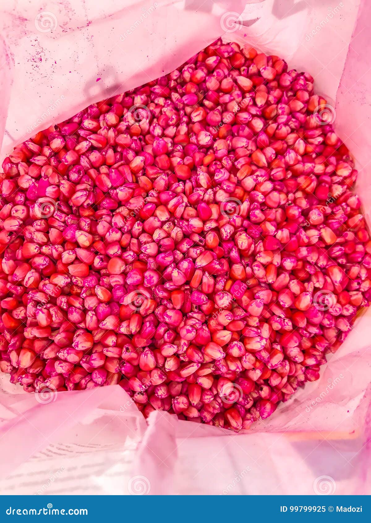 Chemically Treated Corn Maize Seed In Seeding Machine Royalty-Free ...