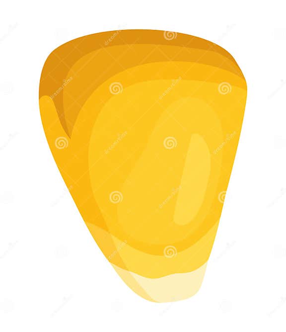 Corn seed design stock vector. Illustration of vegetarian - 226897131