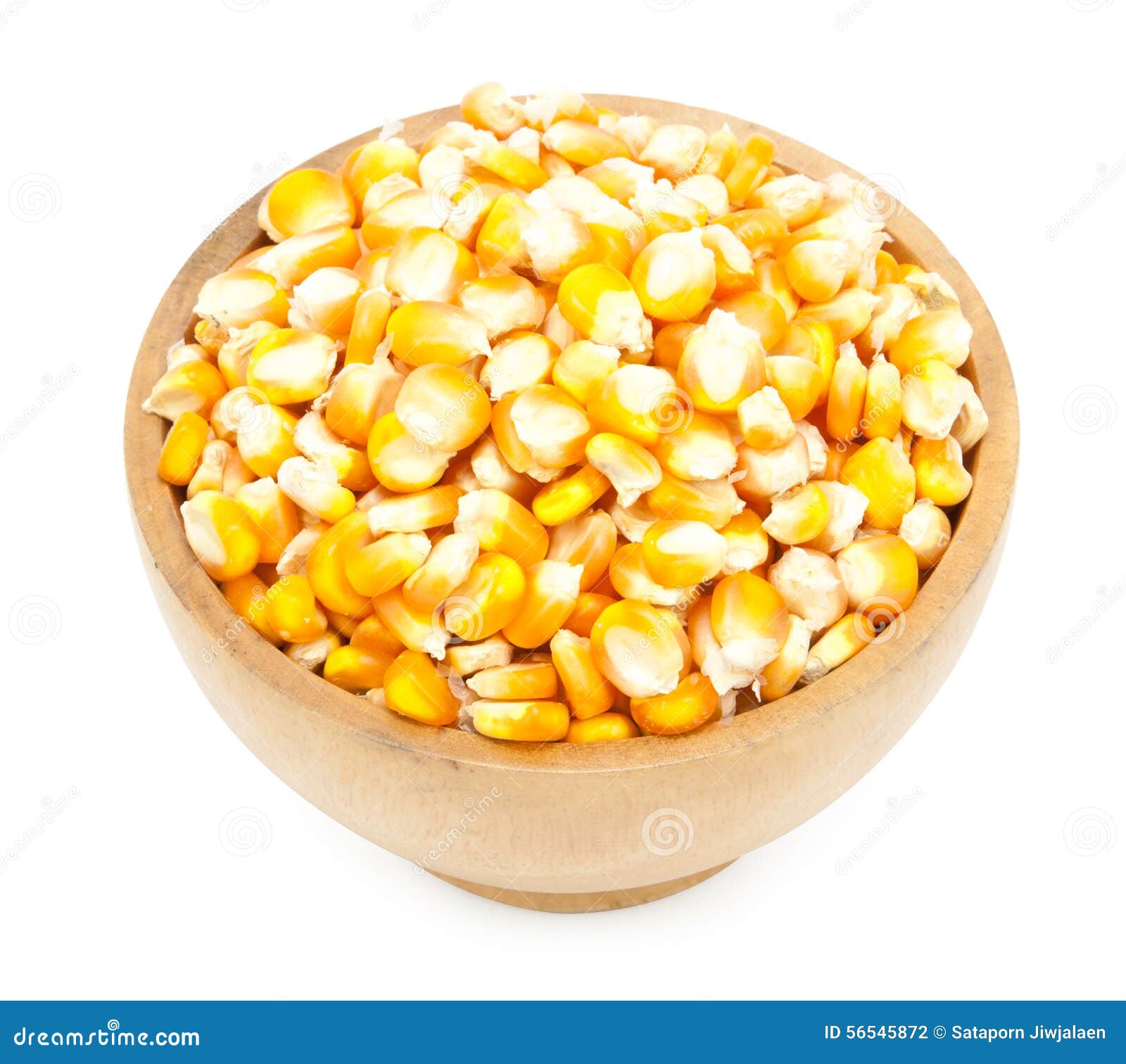 Corn seed isolated stock photo. Image of agriculture - 56545872