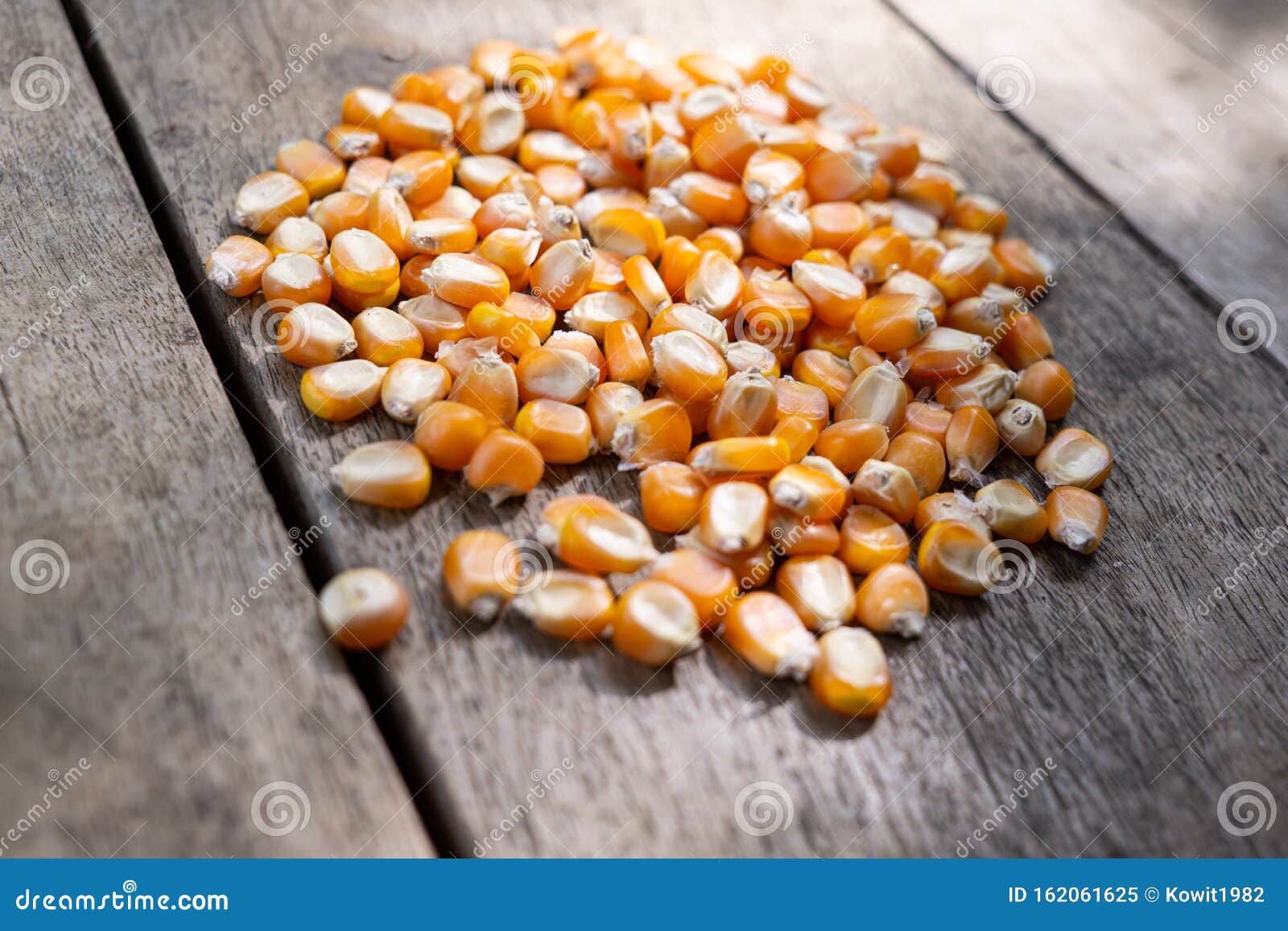 Corn Seed on Wooden Background,have Real Light Stock Image - Image of ...