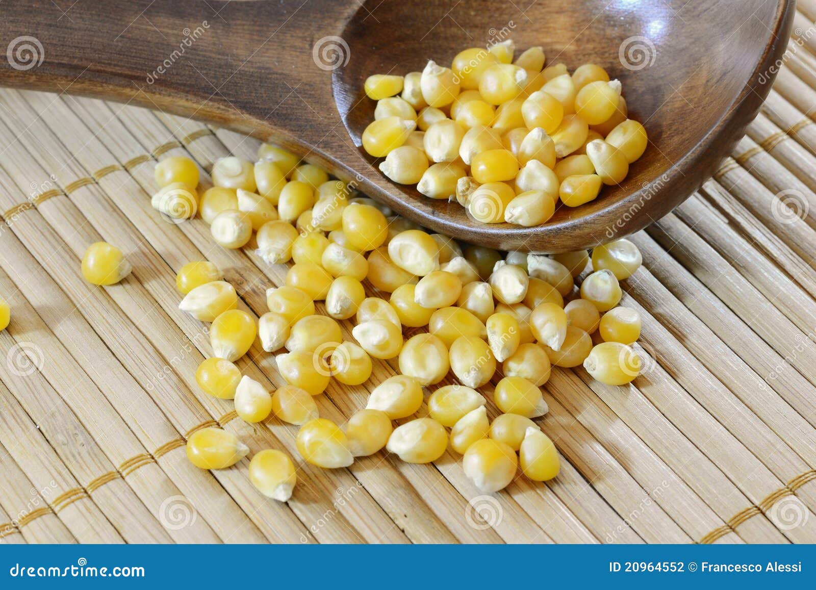 Corn seeds stock photo. Image of product, colorful, wooden - 20964552