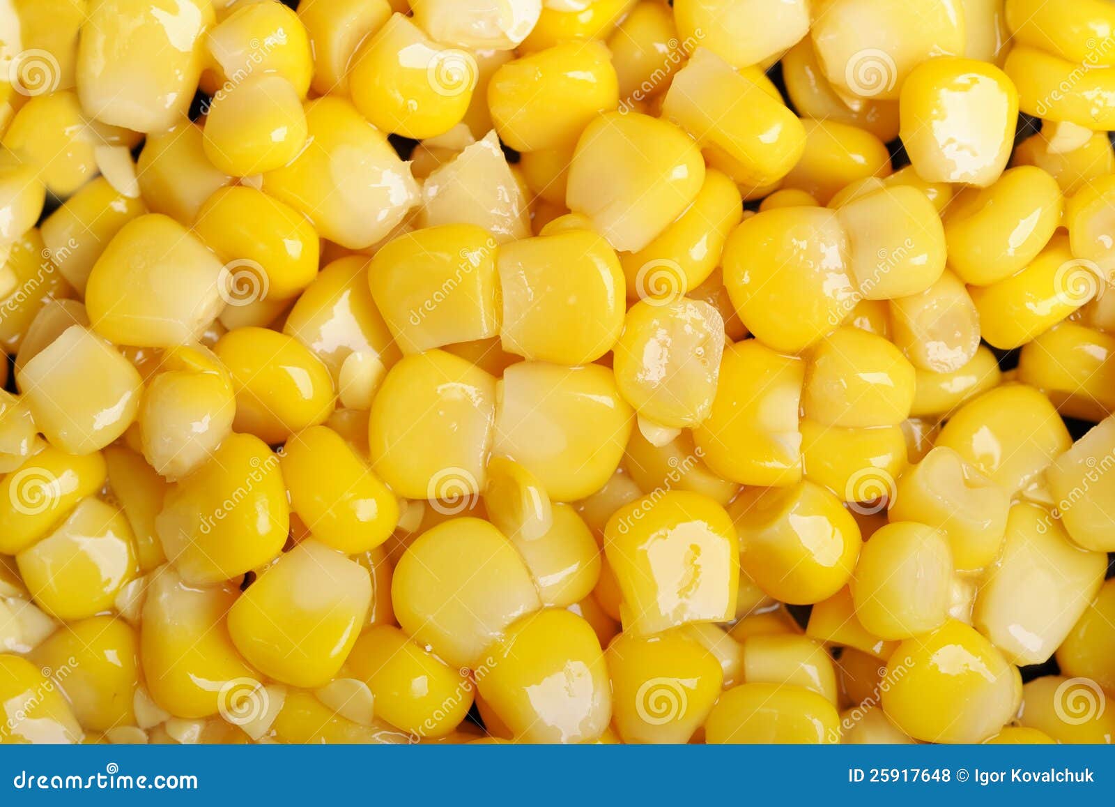 Corn seeds stock photo. Image of cook, natural, color - 25917648