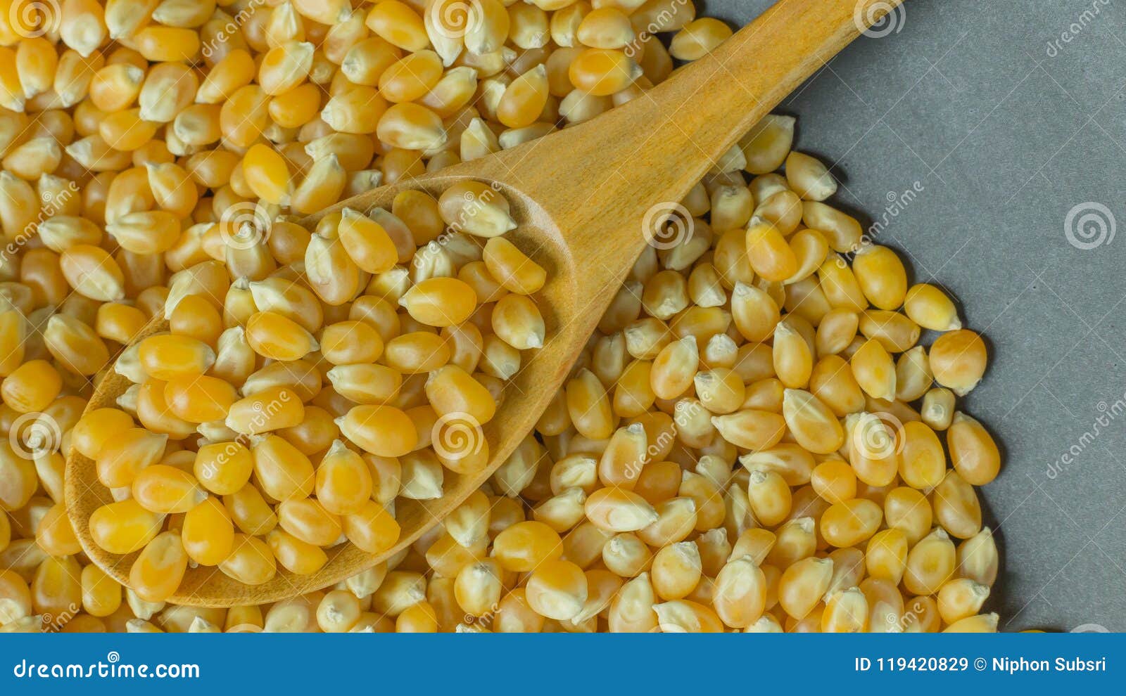 Corn Seeds Close Up Background Image. Stock Image - Image of seed ...