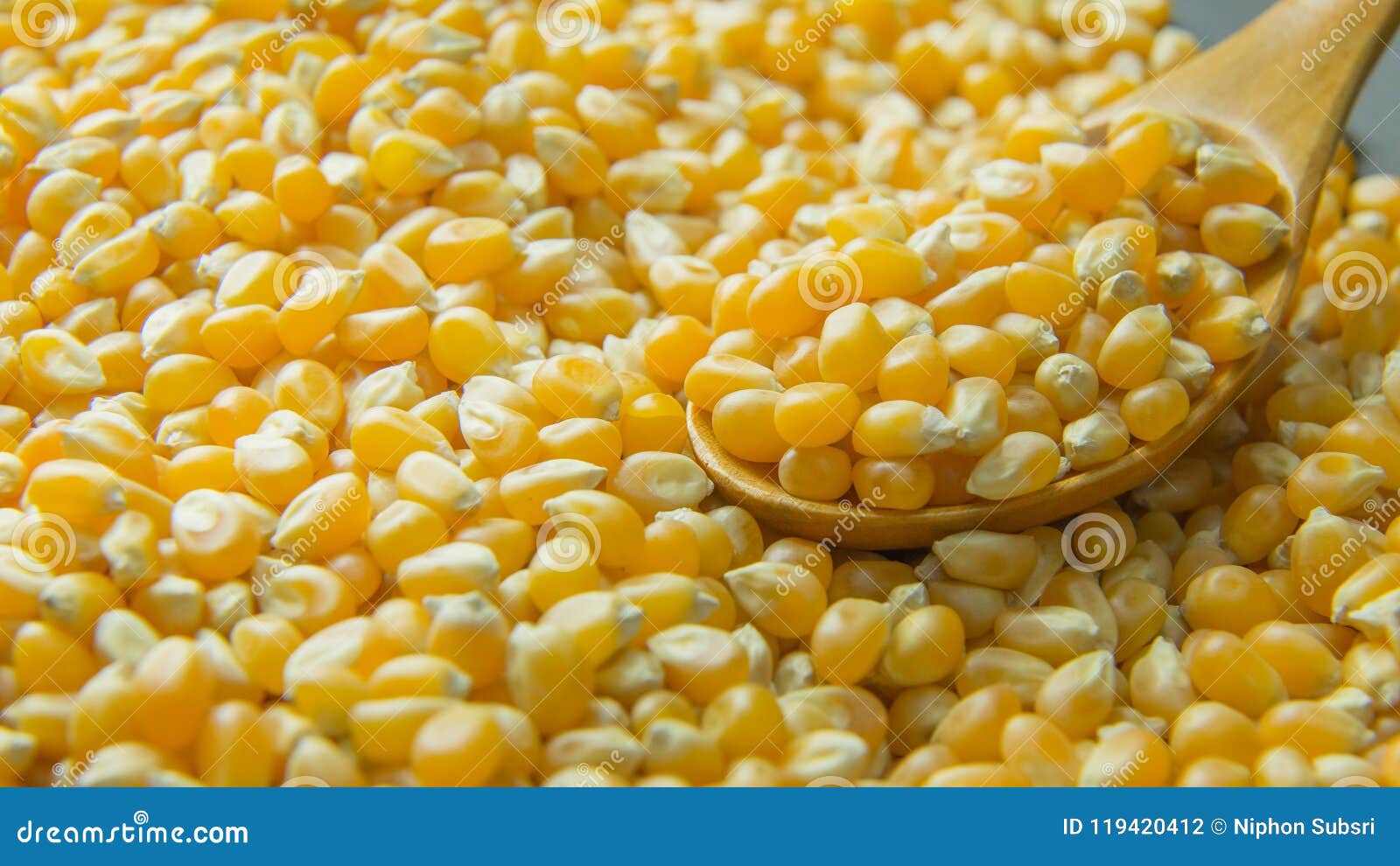Corn Seeds Close Up Background Image. Stock Photo - Image of corn, crop ...