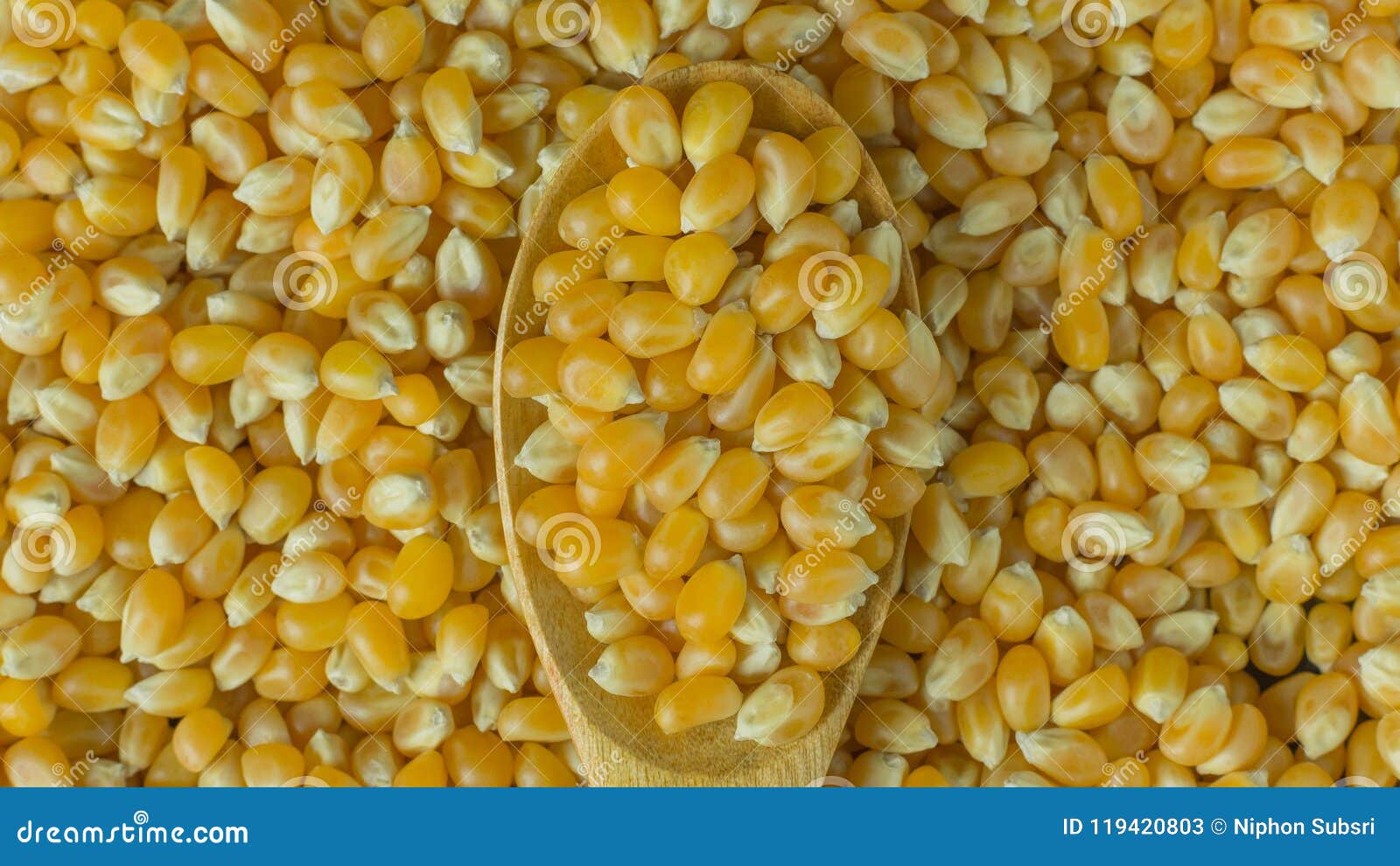 Corn Seeds Close Up Background Image. Stock Image - Image of nutrition ...