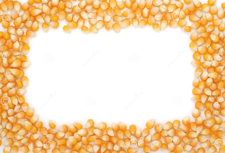 Corn seeds frame stock image. Image of concept, food, nutrition - 5296447