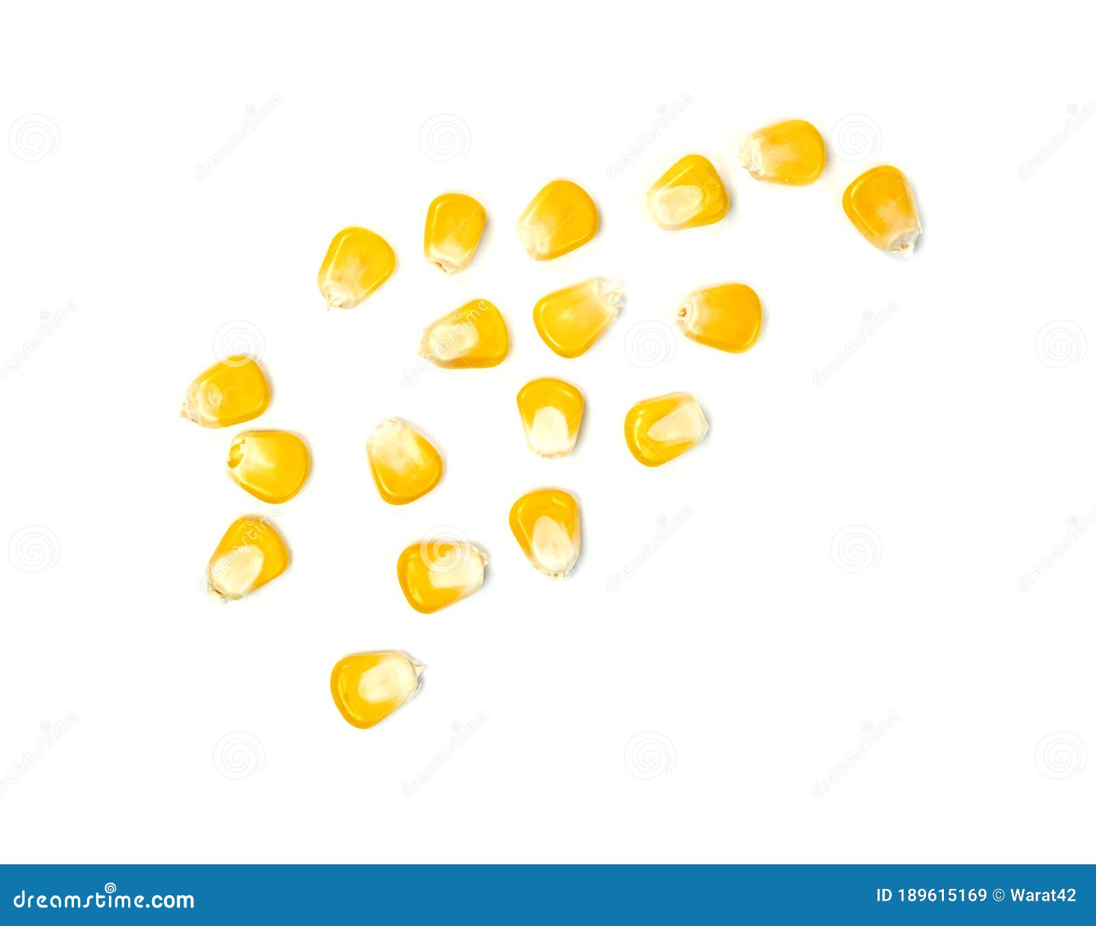Corn Seeds Isolated on White Background Stock Image - Image of nature ...