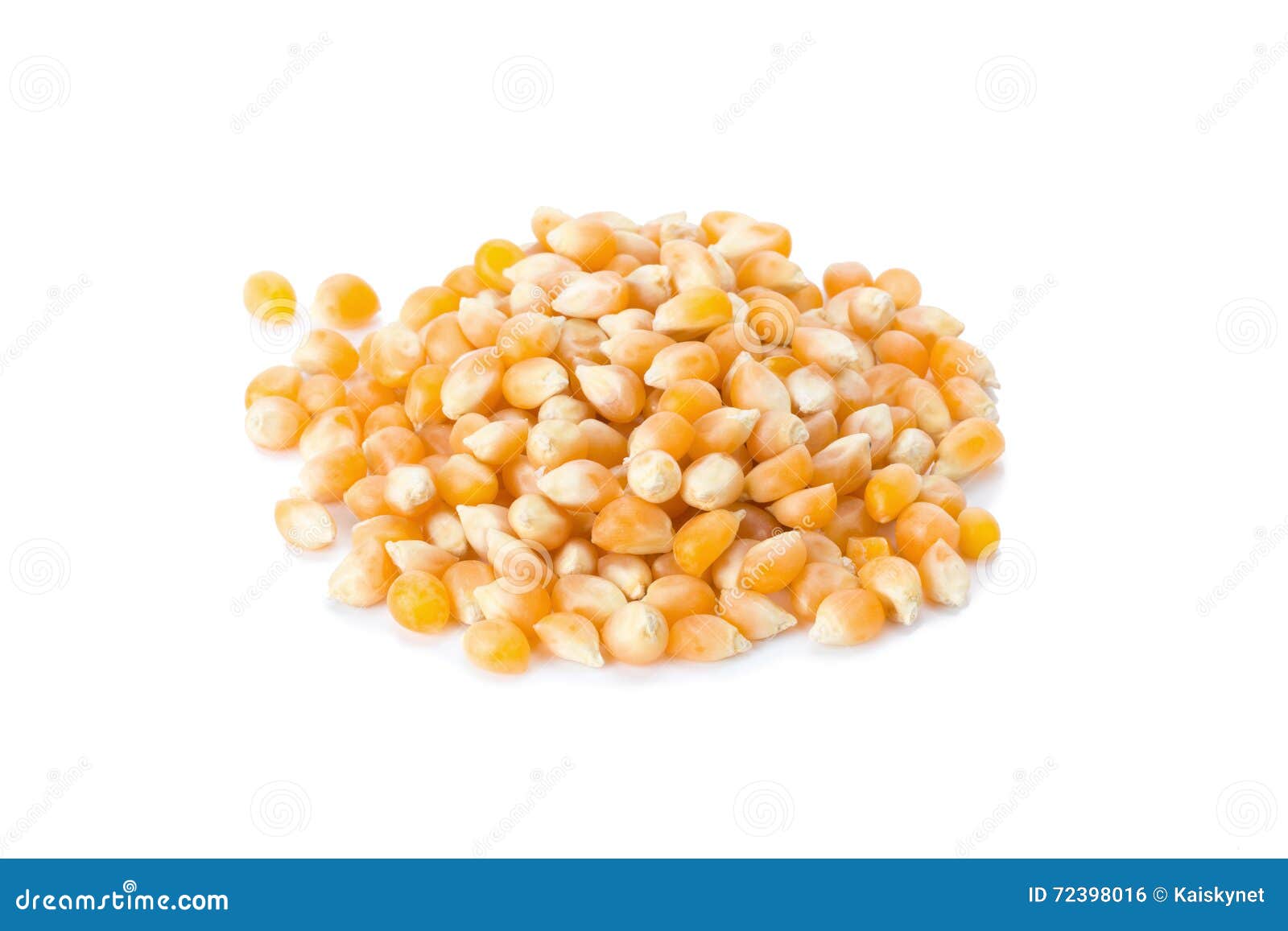 Corn Seeds Isolated on White Background. Stock Photo - Image of seed ...