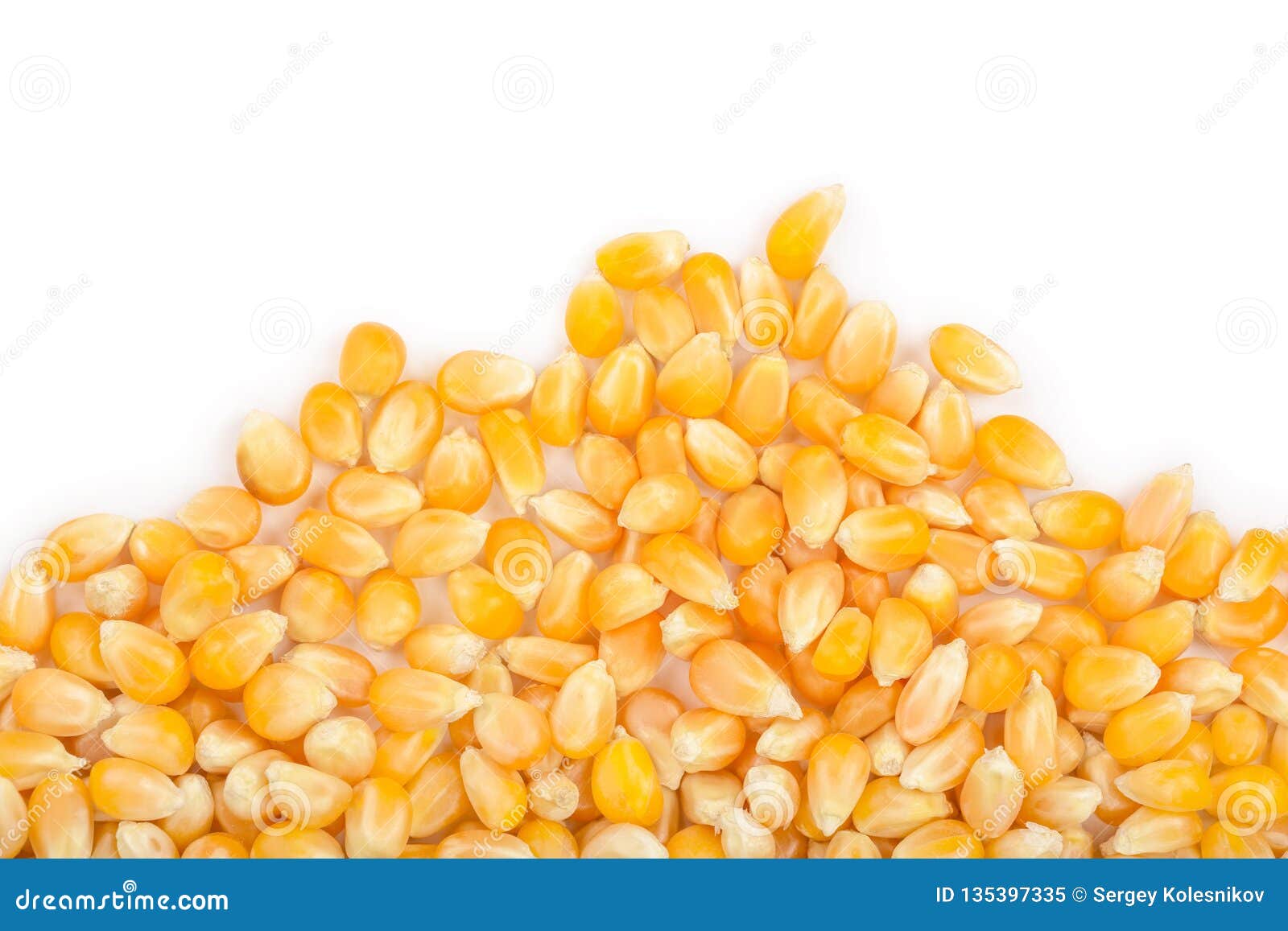 The Corn Seeds Isolated on White Background with Copy Space for Your ...