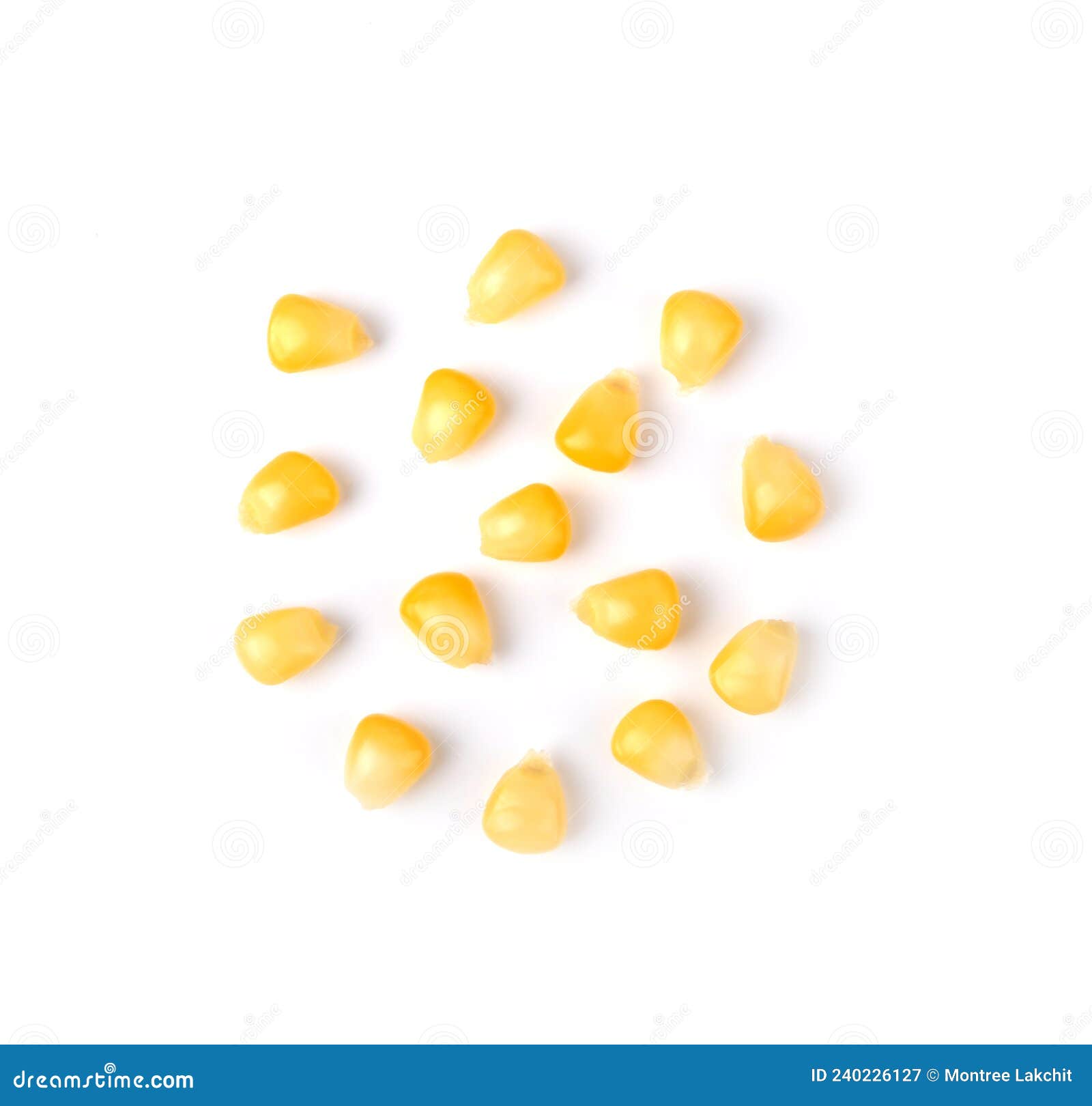 Corn Seeds Isolated on White Background. Top View Stock Image - Image ...