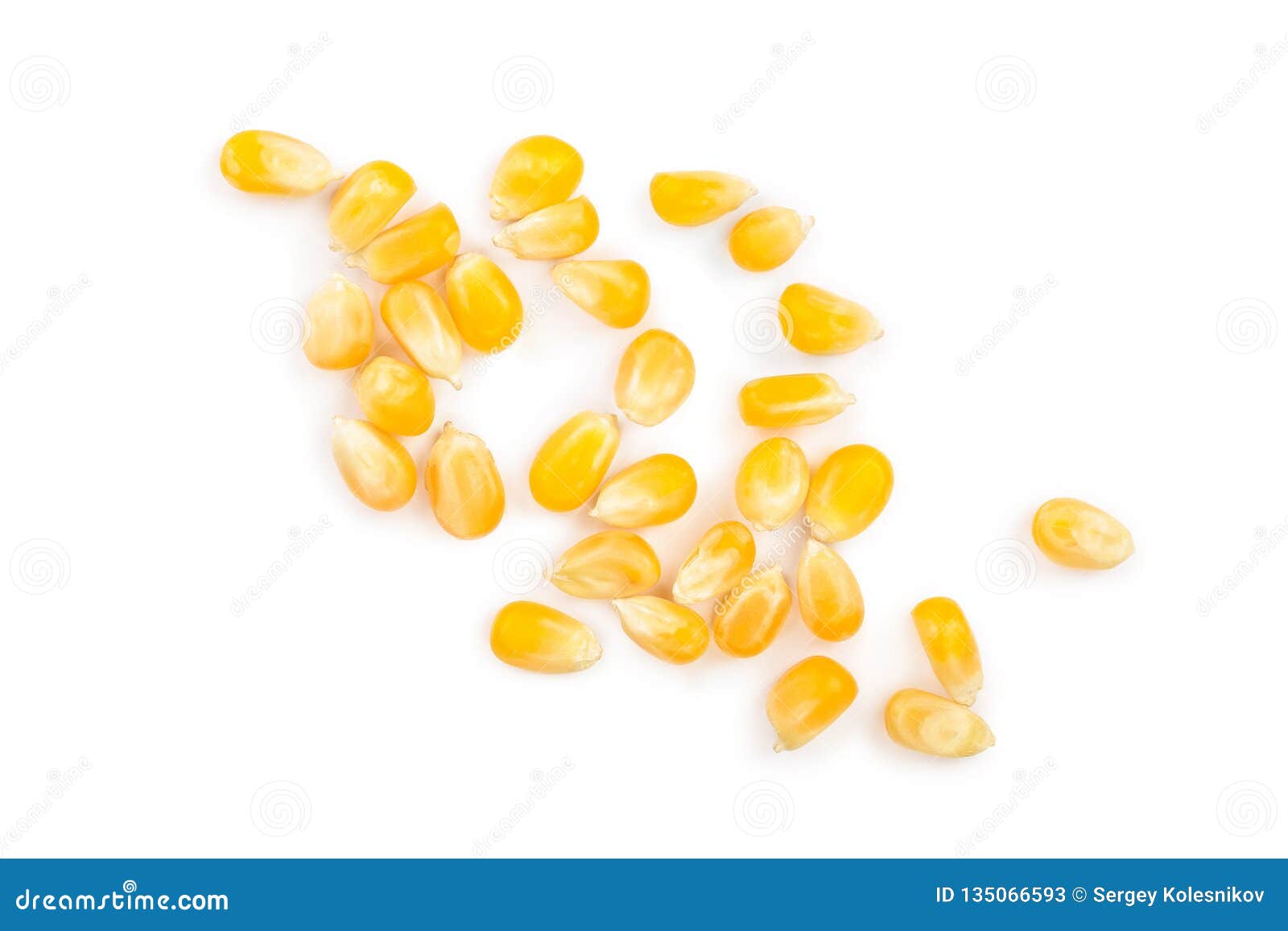 The Corn Seeds Isolated on White Background. Top View Stock Image ...
