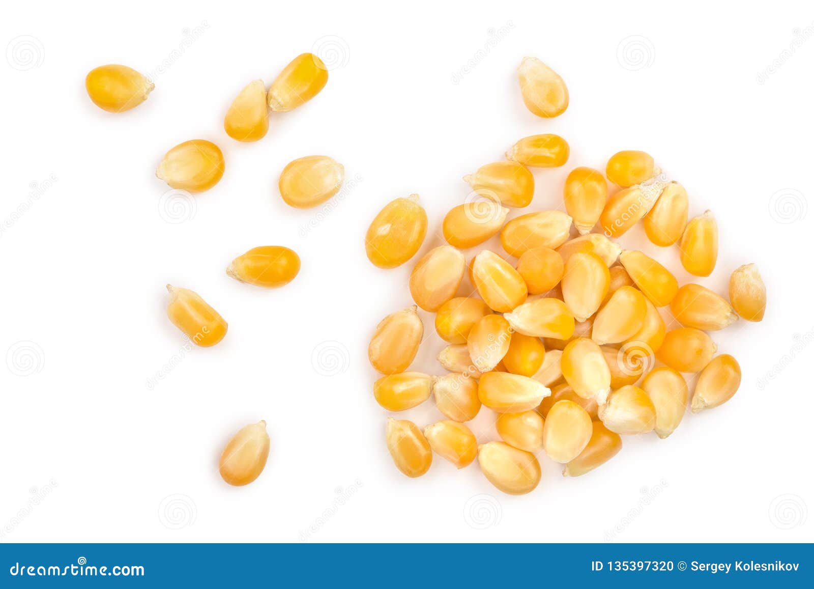 The Corn Seeds Isolated on White Background. Top View Stock Photo ...