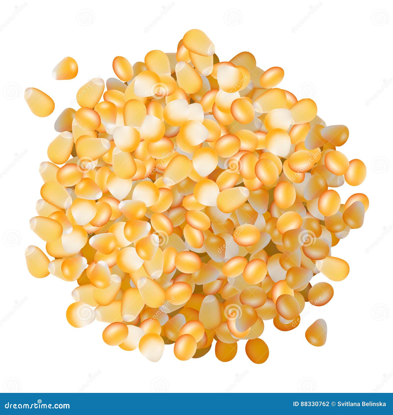Corn Seeds Vector Cartoon Flat Illustration Isolated On White ...