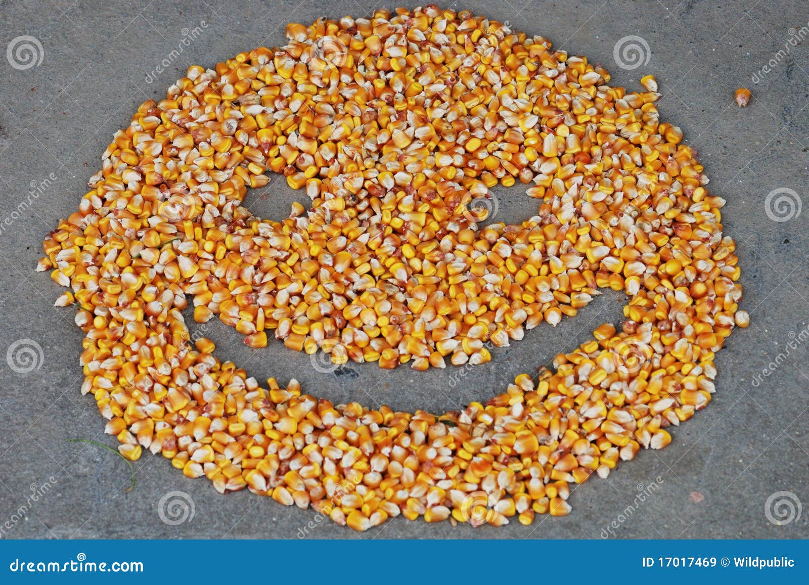 Corn seeds smiley stock image. Image of corn, agriculture - 17017469