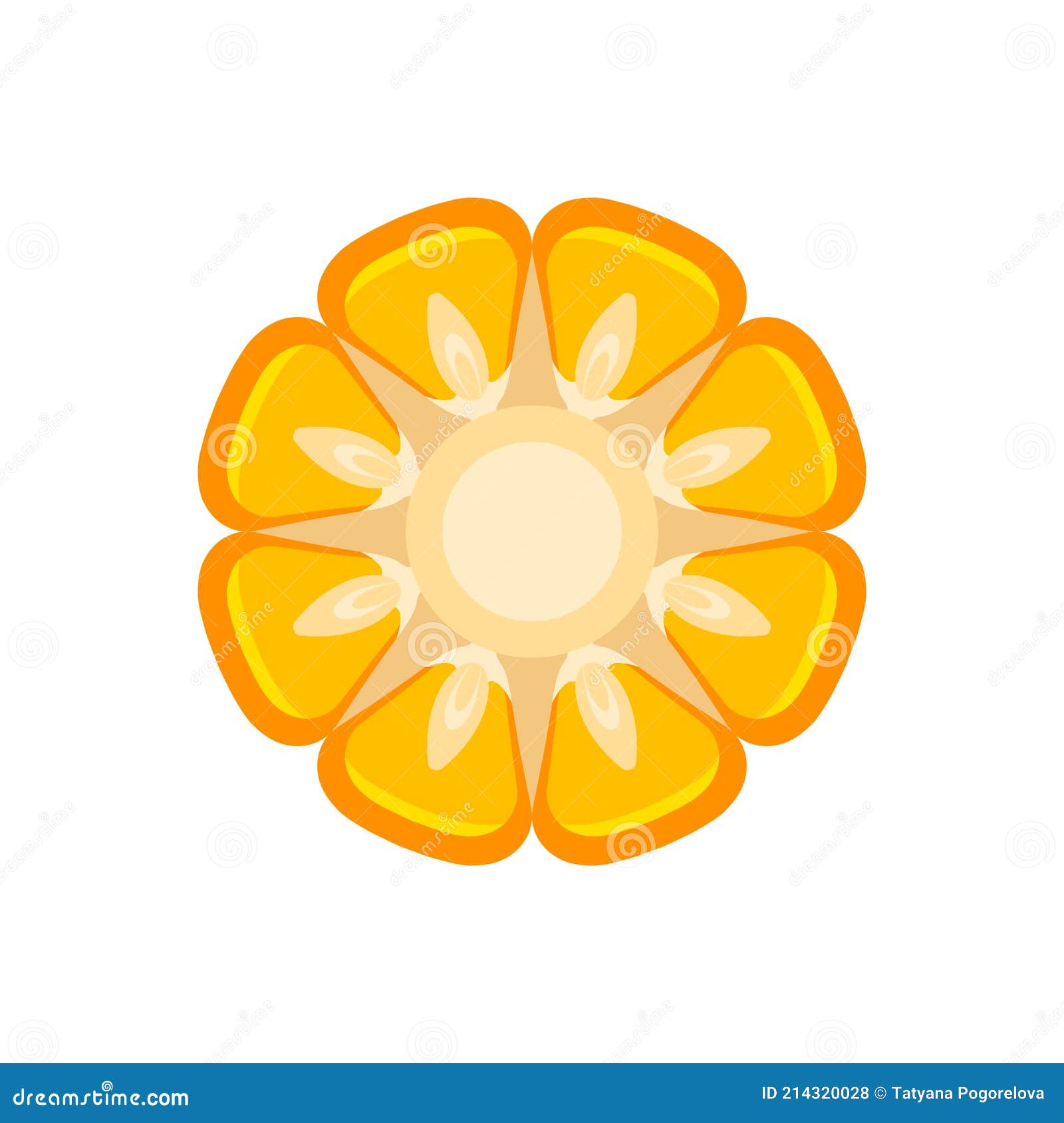 Corn Seeds Vector Cartoon Flat Illustration Isolated On White ...