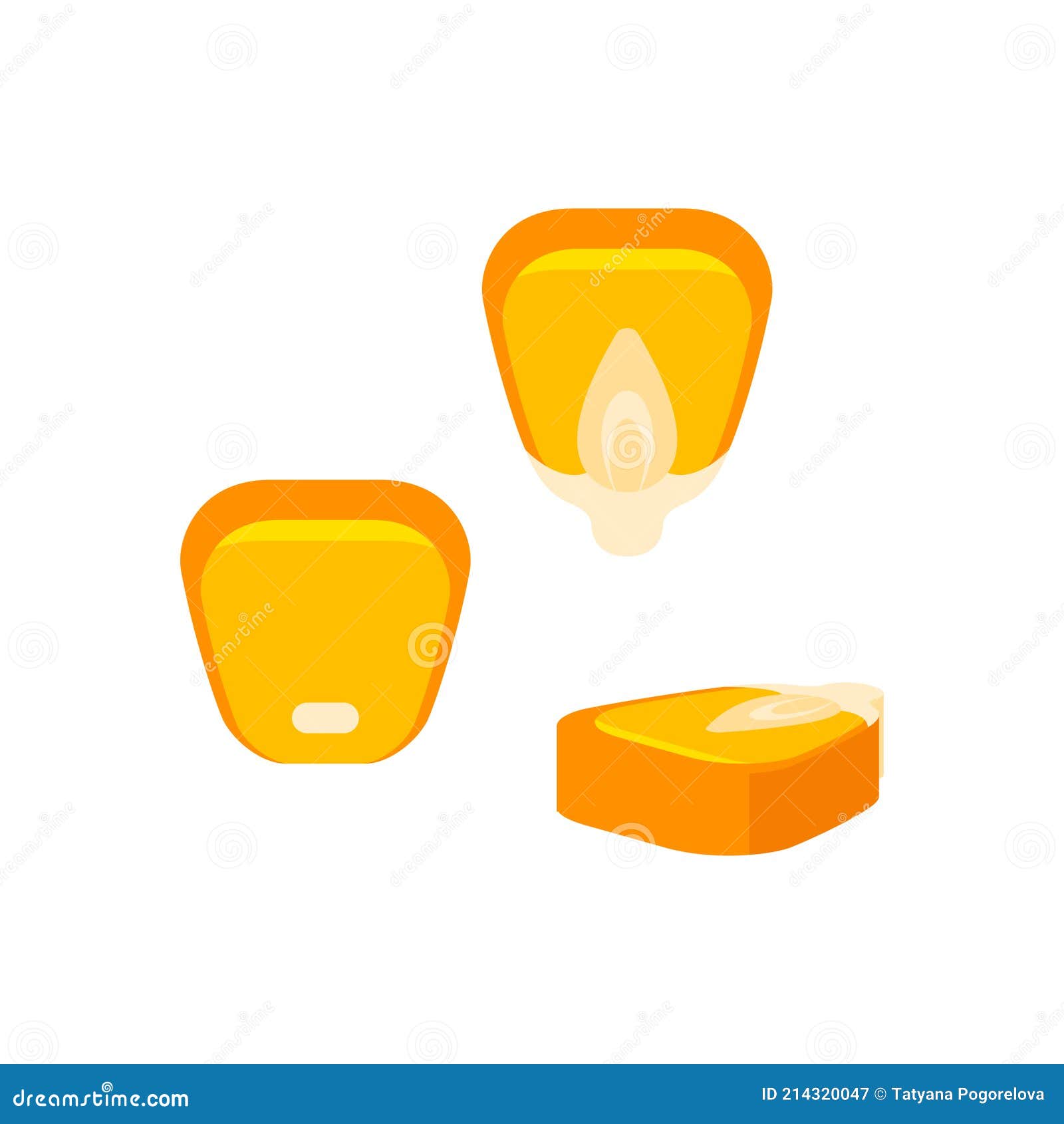 Corn Seeds Vector Cartoon Flat Illustration Isolated On White ...