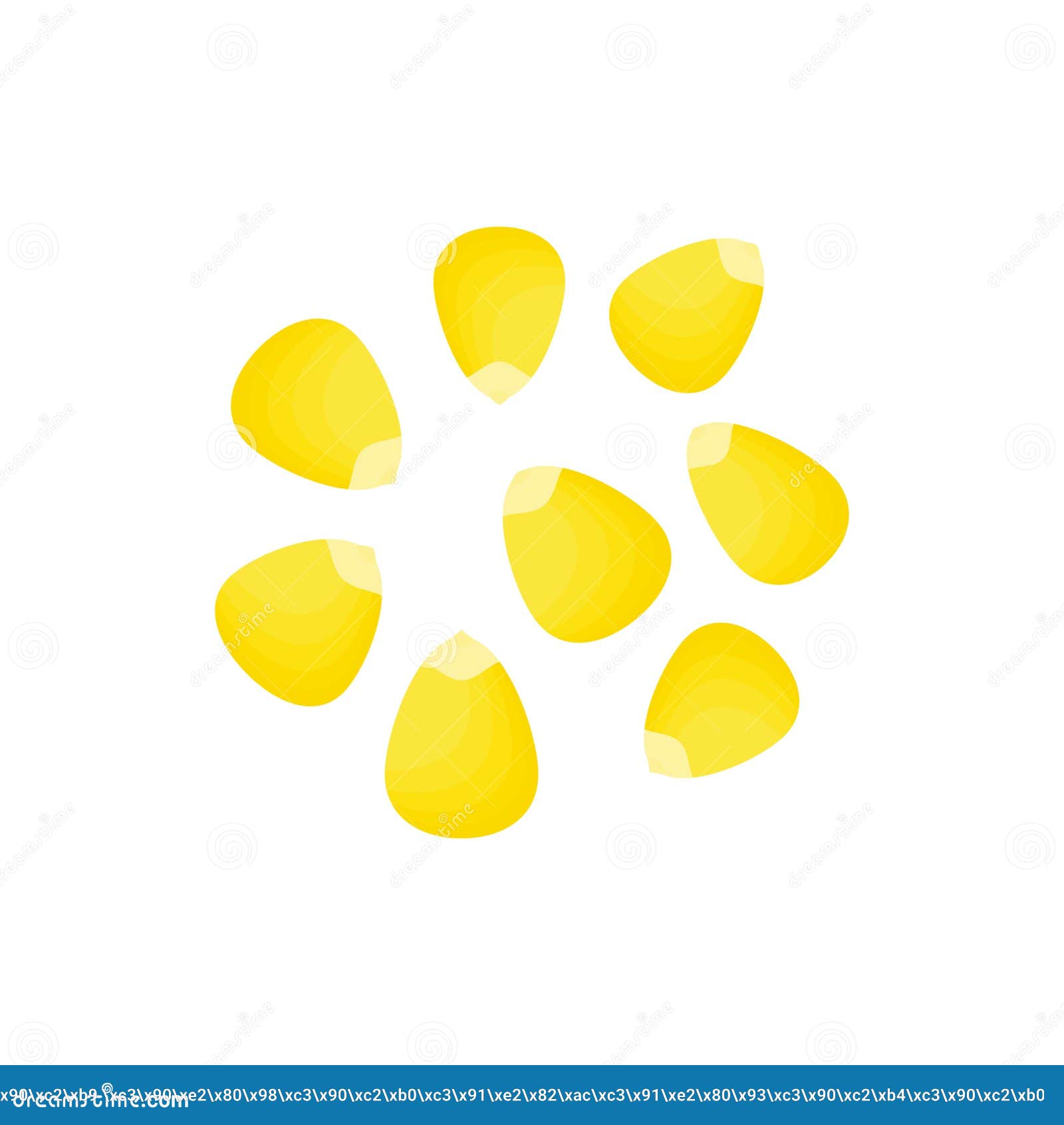 Corn Seeds Vector Illustration Isolated on White Background Stock ...