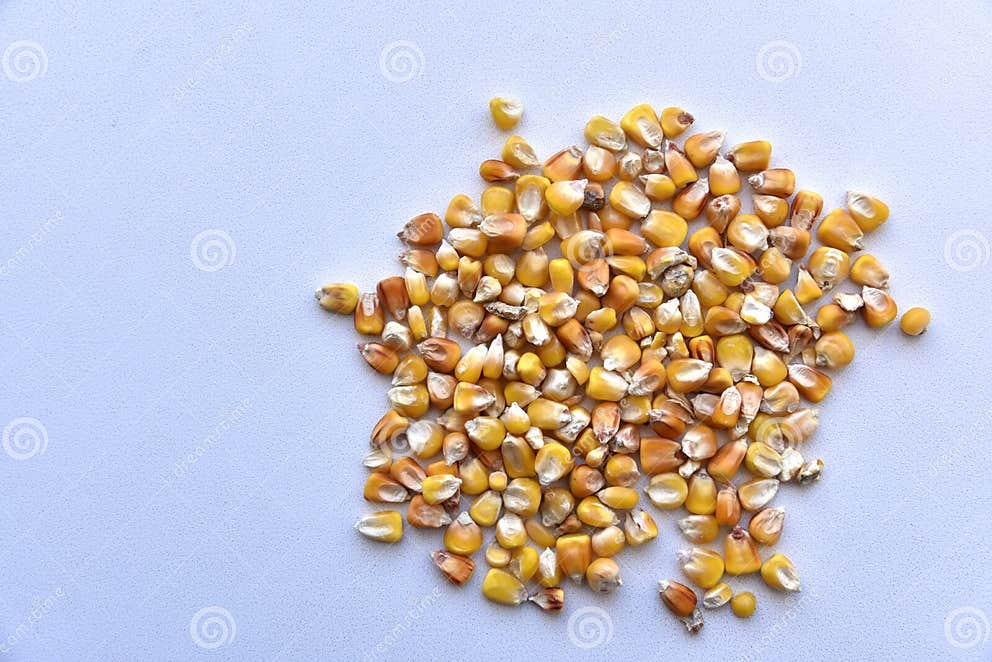 Corn Seeds on a White Background Stock Image - Image of corns, pile ...