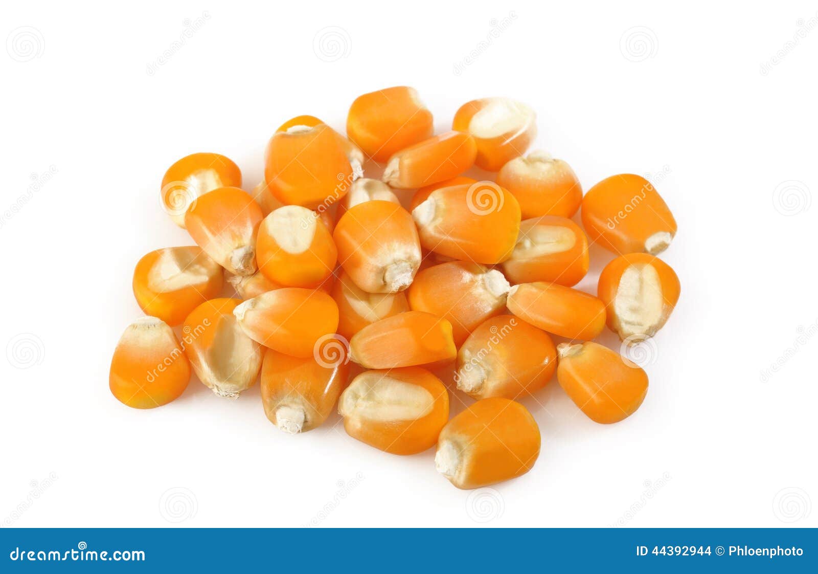 Corn seeds on white stock photo. Image of corn, uncooked - 44392944