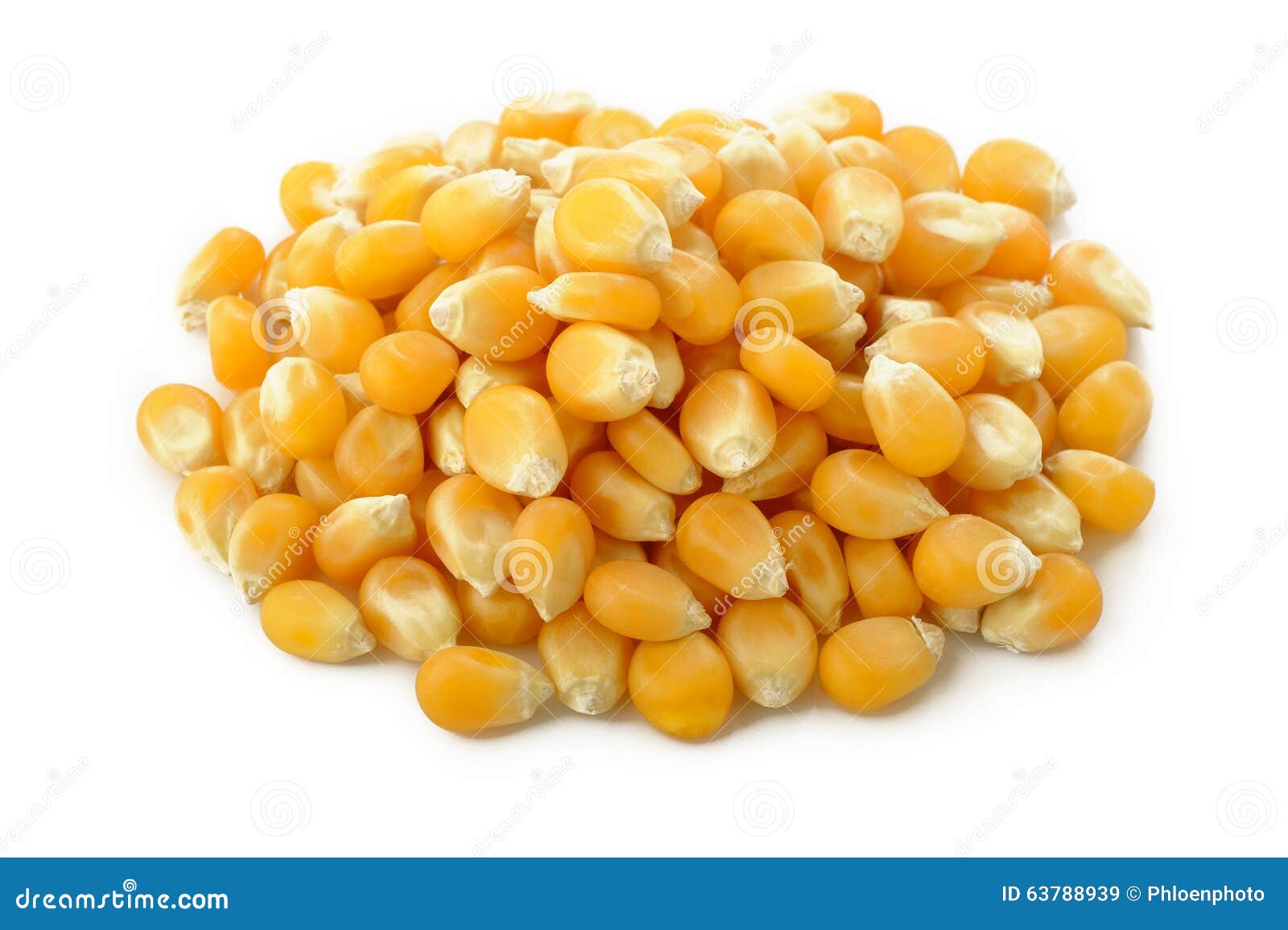 Corn Seeds on a White Background Stock Image - Image of vegetable, food ...