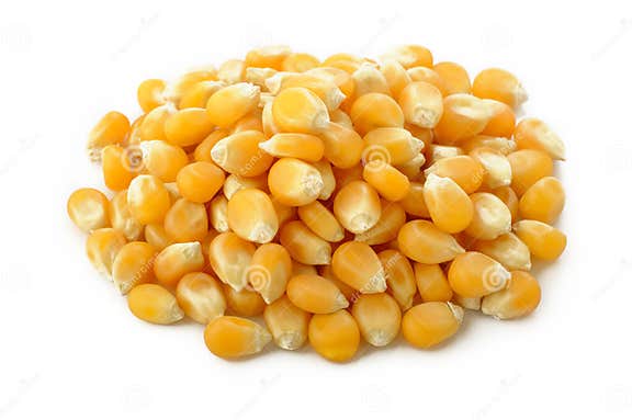 Corn Seeds on a White Background Stock Image - Image of vegetable, food ...