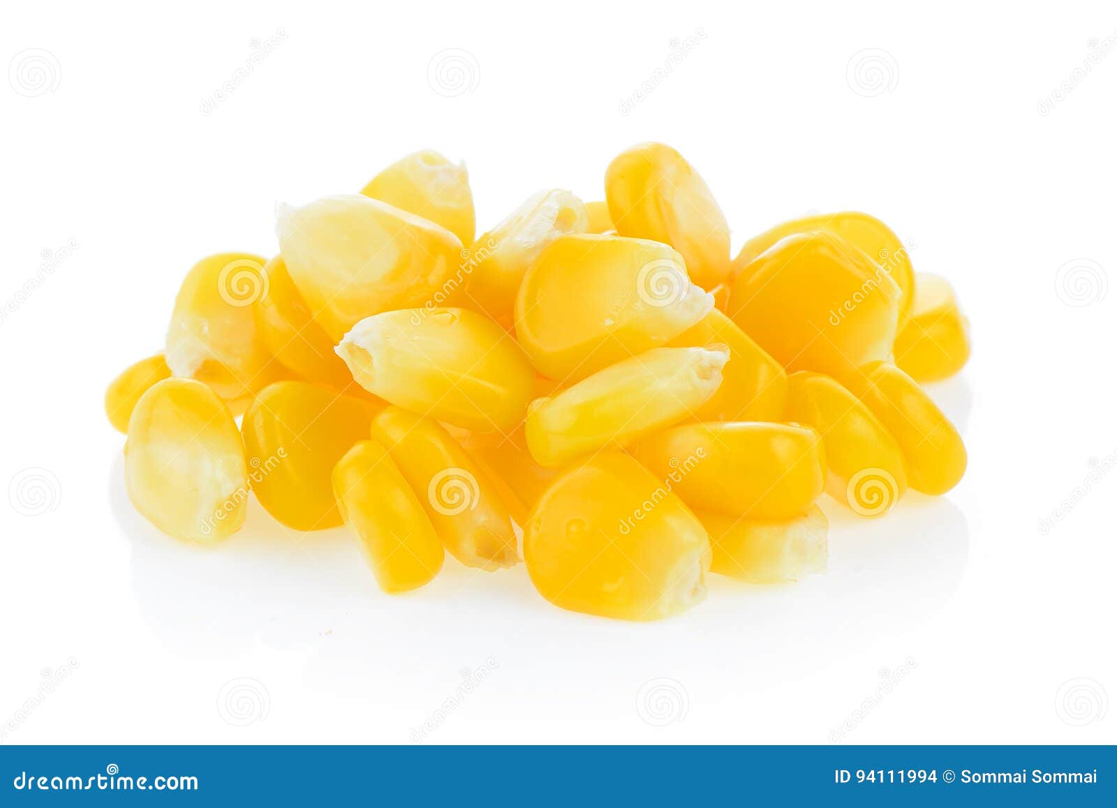 Corn seeds stock photo. Image of golden, harvest, maize - 94111994