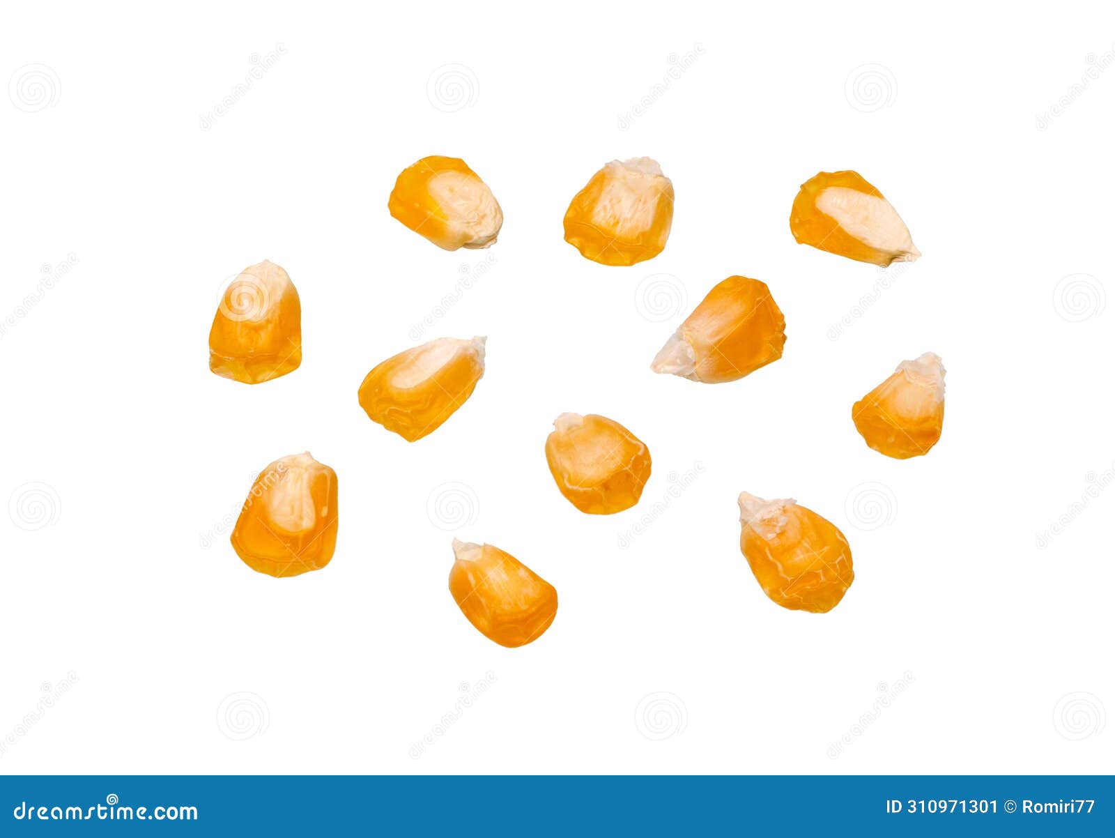 Corn seeds on white stock image. Image of yellow, white - 310971301