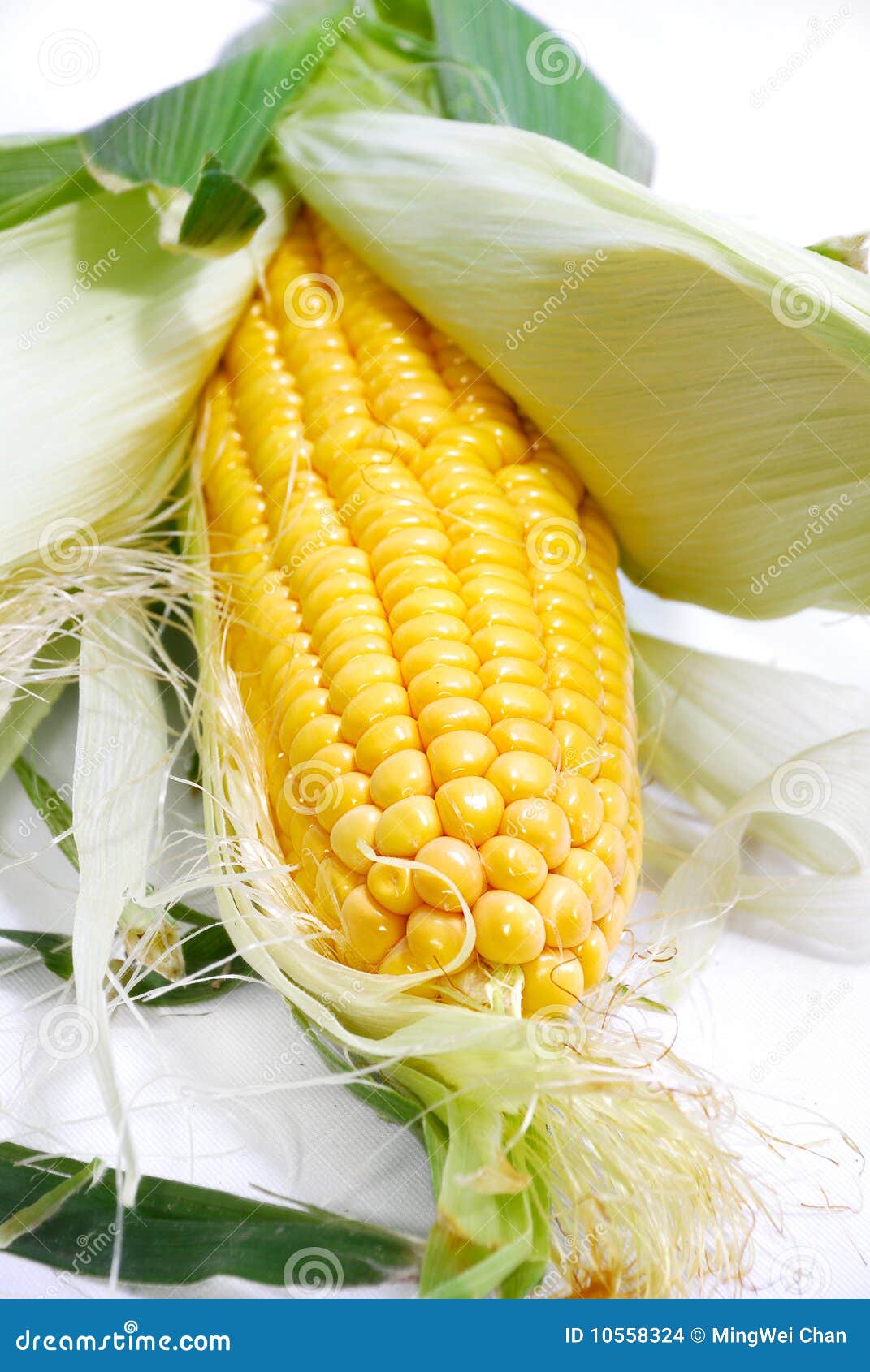 Corn Series 01 Royalty-Free Stock Photography | CartoonDealer.com #10473827