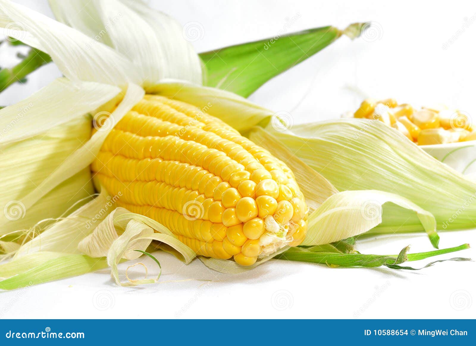 Corn Series 01 Royalty-Free Stock Photography | CartoonDealer.com #10473827