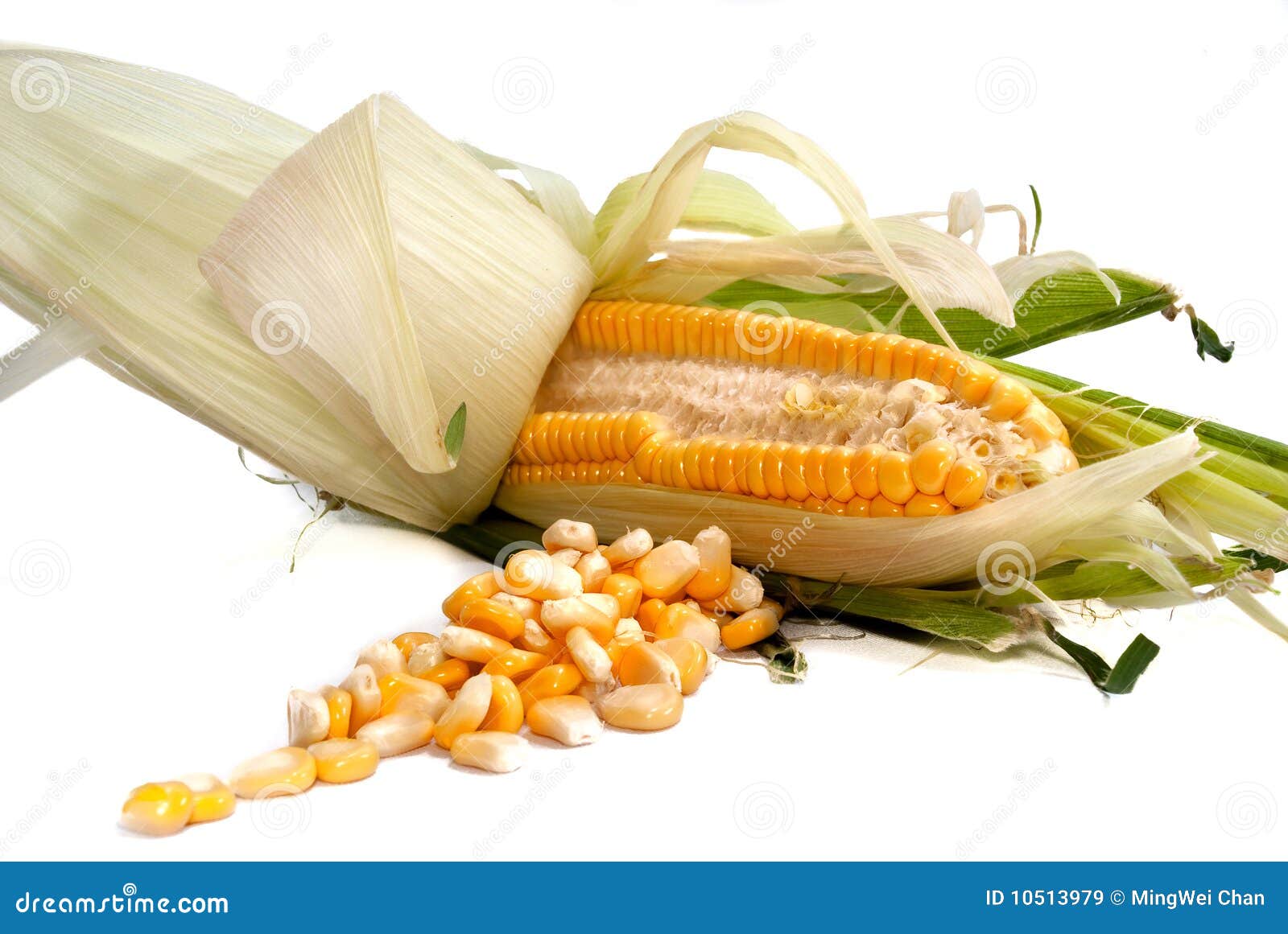 Corn Series 02 stock image. Image of vegetable, texture - 10513979