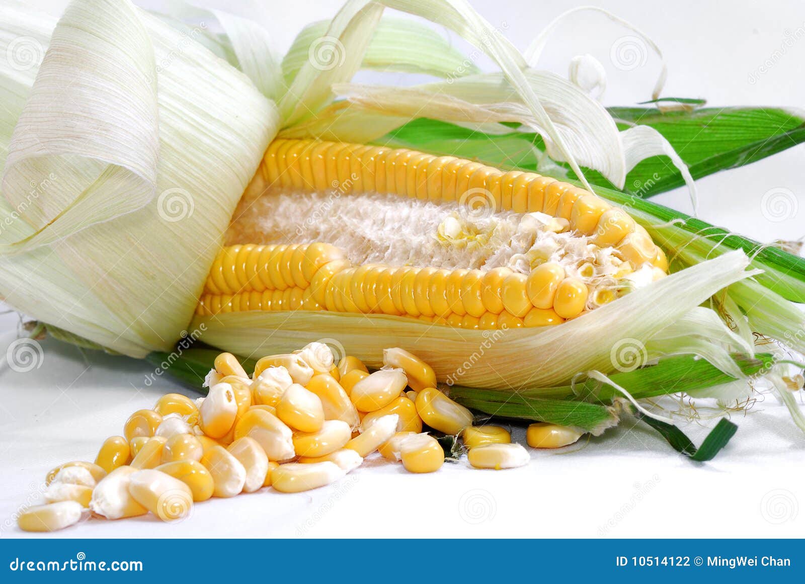 Corn Series 01 Royalty-Free Stock Photography | CartoonDealer.com #10473827