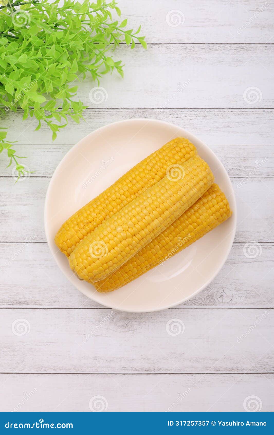 Corn Served on a White Plate Stock Image - Image of husk, closeup ...