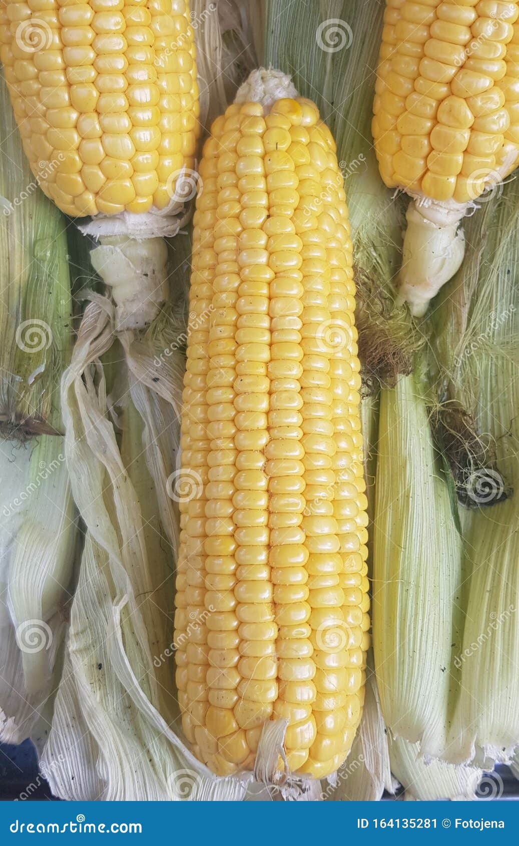 Corn without shell stock image. Image of organic, fresh - 164135281