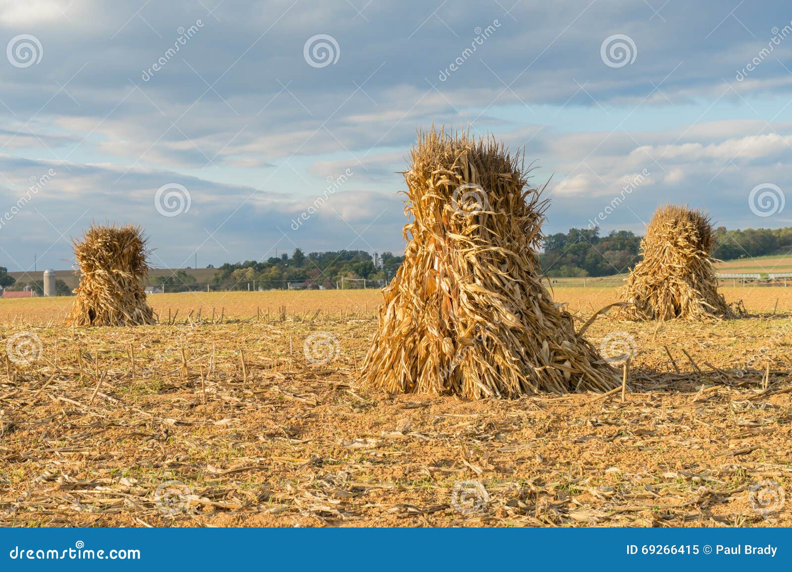 636 Farm Corn Stacks Stock Photos - Free & Royalty-Free Stock Photos ...