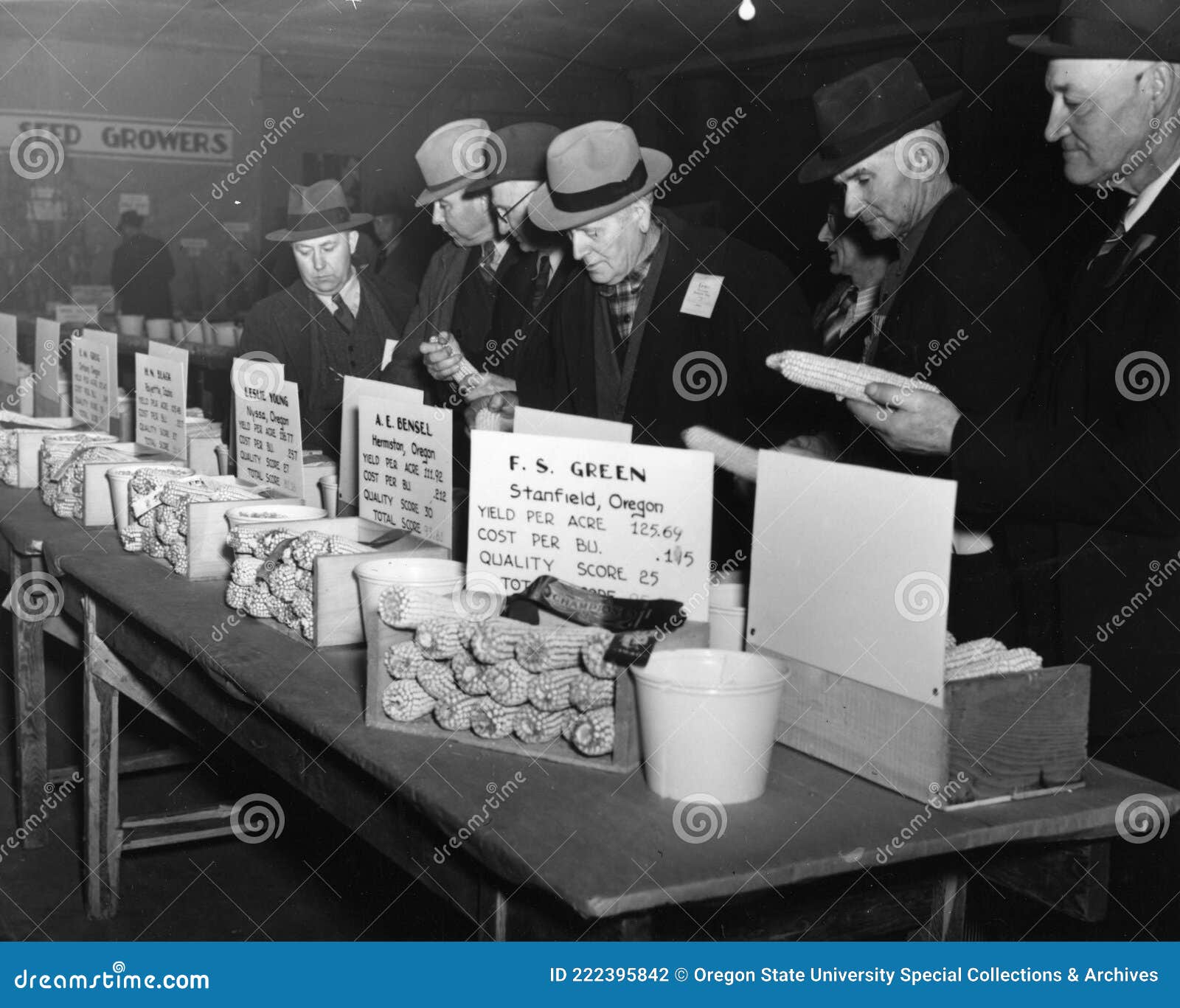 Corn Show, 1940 Picture. Image: 222395842