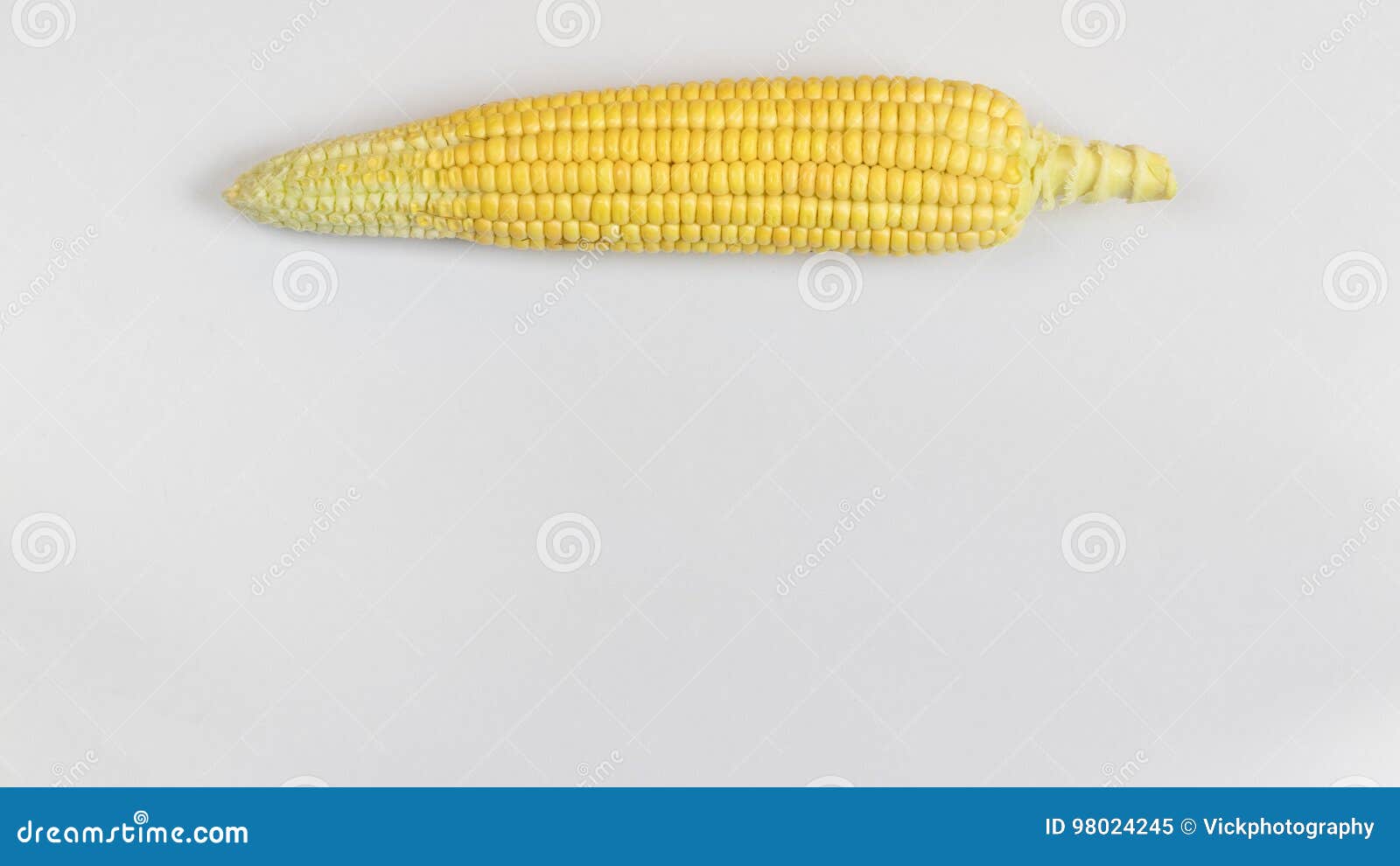 Corn single stock image. Image of corn, nutrition, vegetable - 98024245