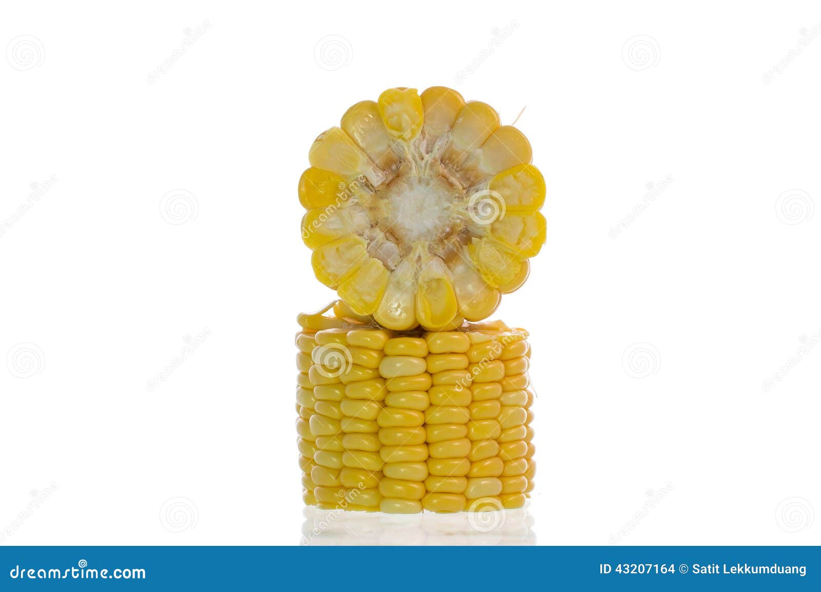 Corn slice stock photo. Image of corn, meal, nature, nutrition - 43207164