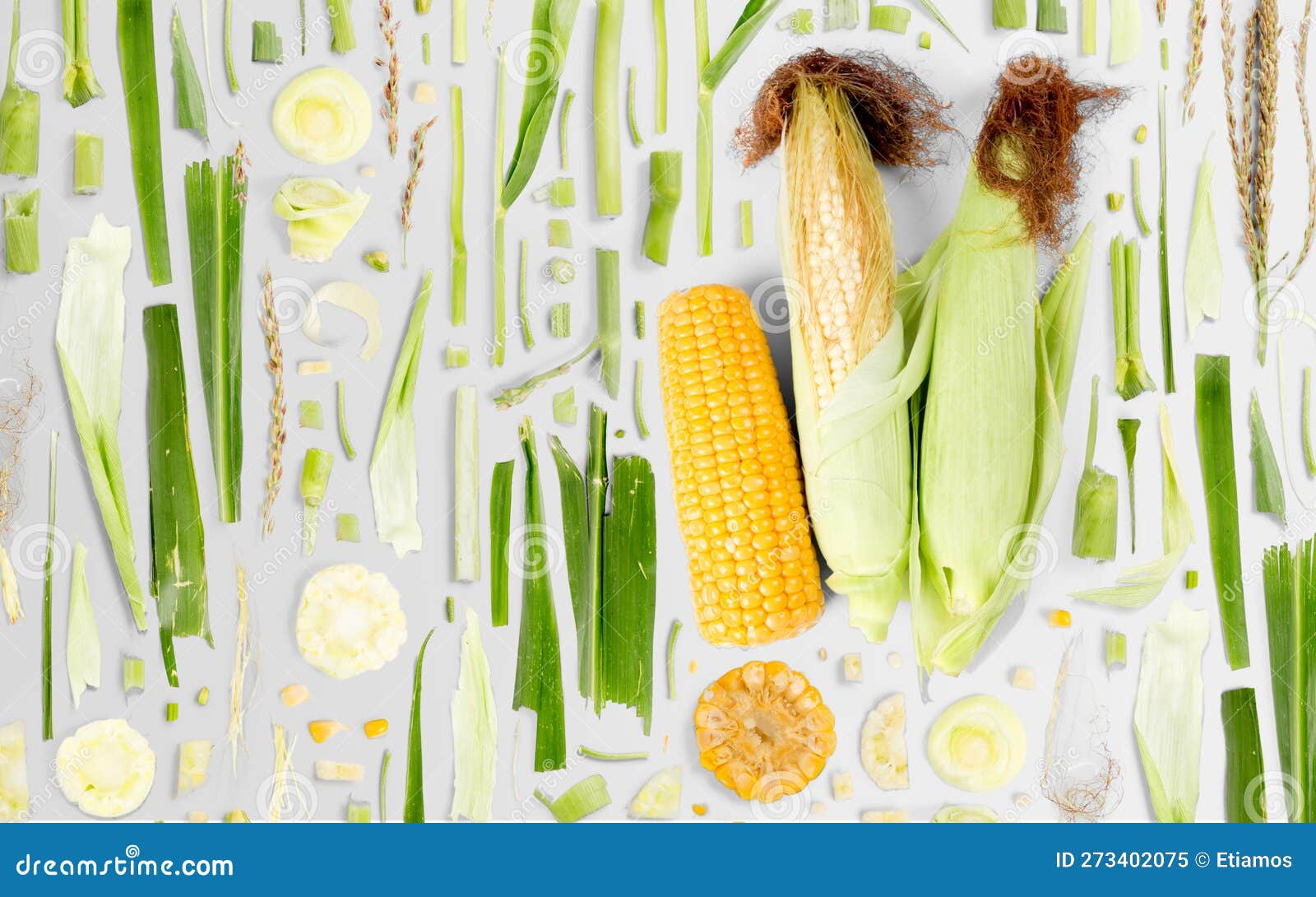 Corn Slice and Leaf Collection Stock Image - Image of green, natural ...