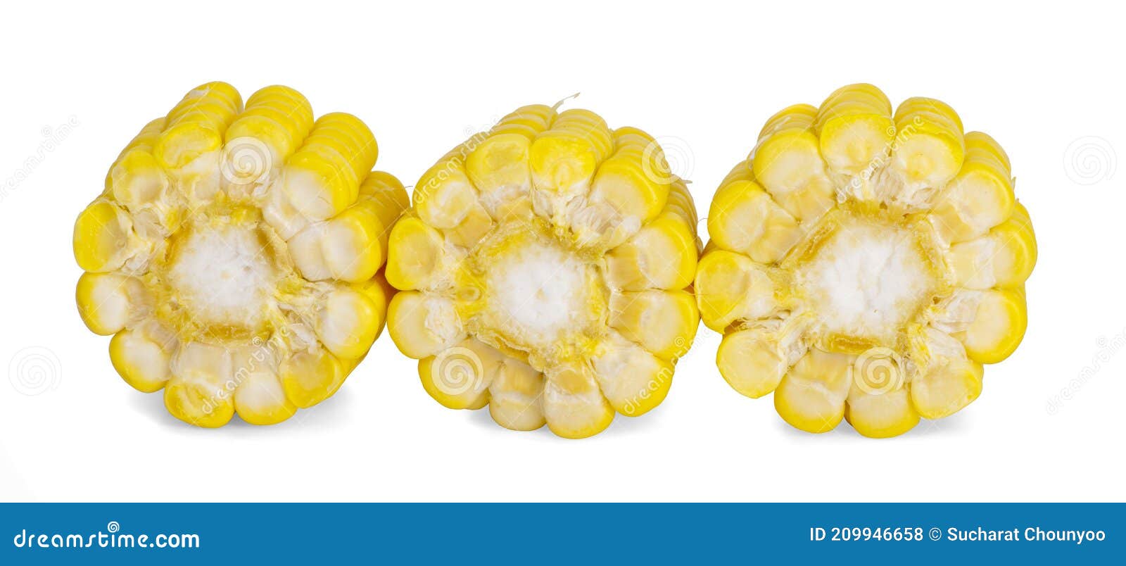 Corn Slices Isolated on a White Background Stock Photo - Image of ...