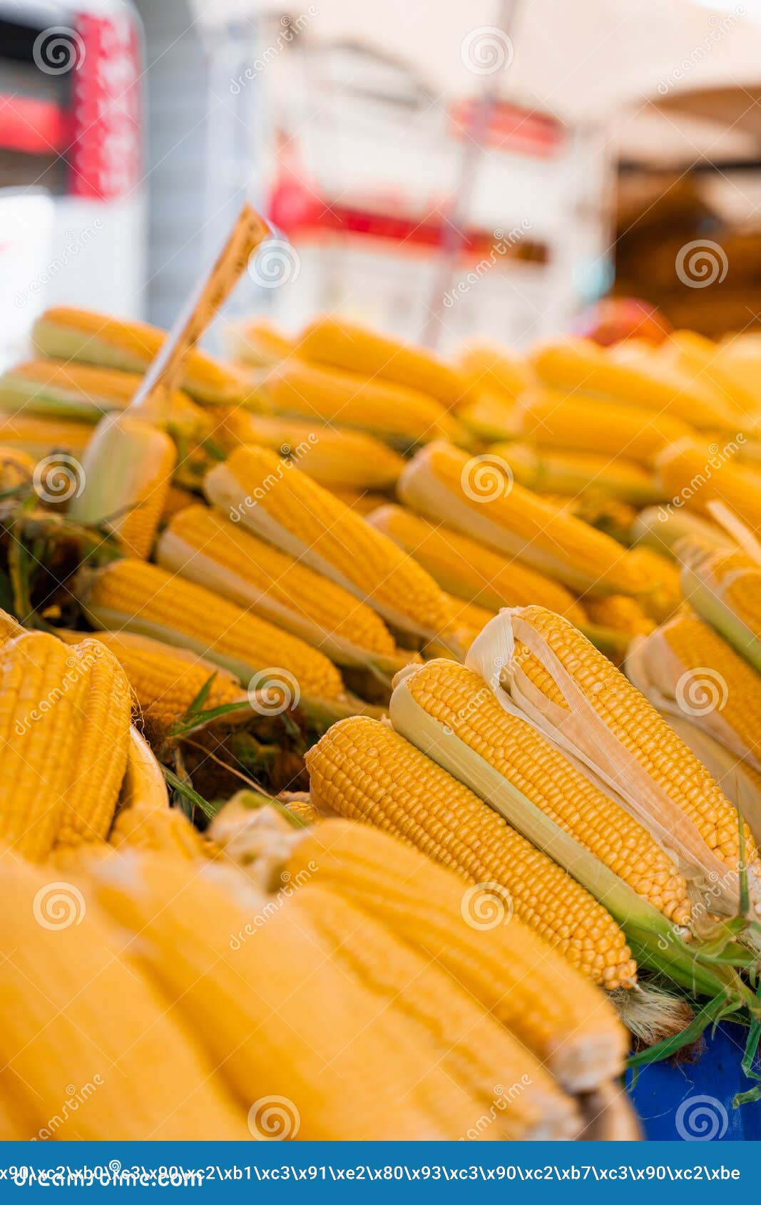 Corn Sold in Turkish Market. Counter with Raw Corn. Stock Image - Image ...