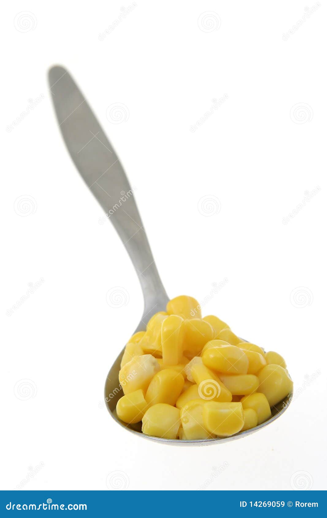 Corn on a spoon stock image. Image of corn, healthy, vegetarian - 14269059